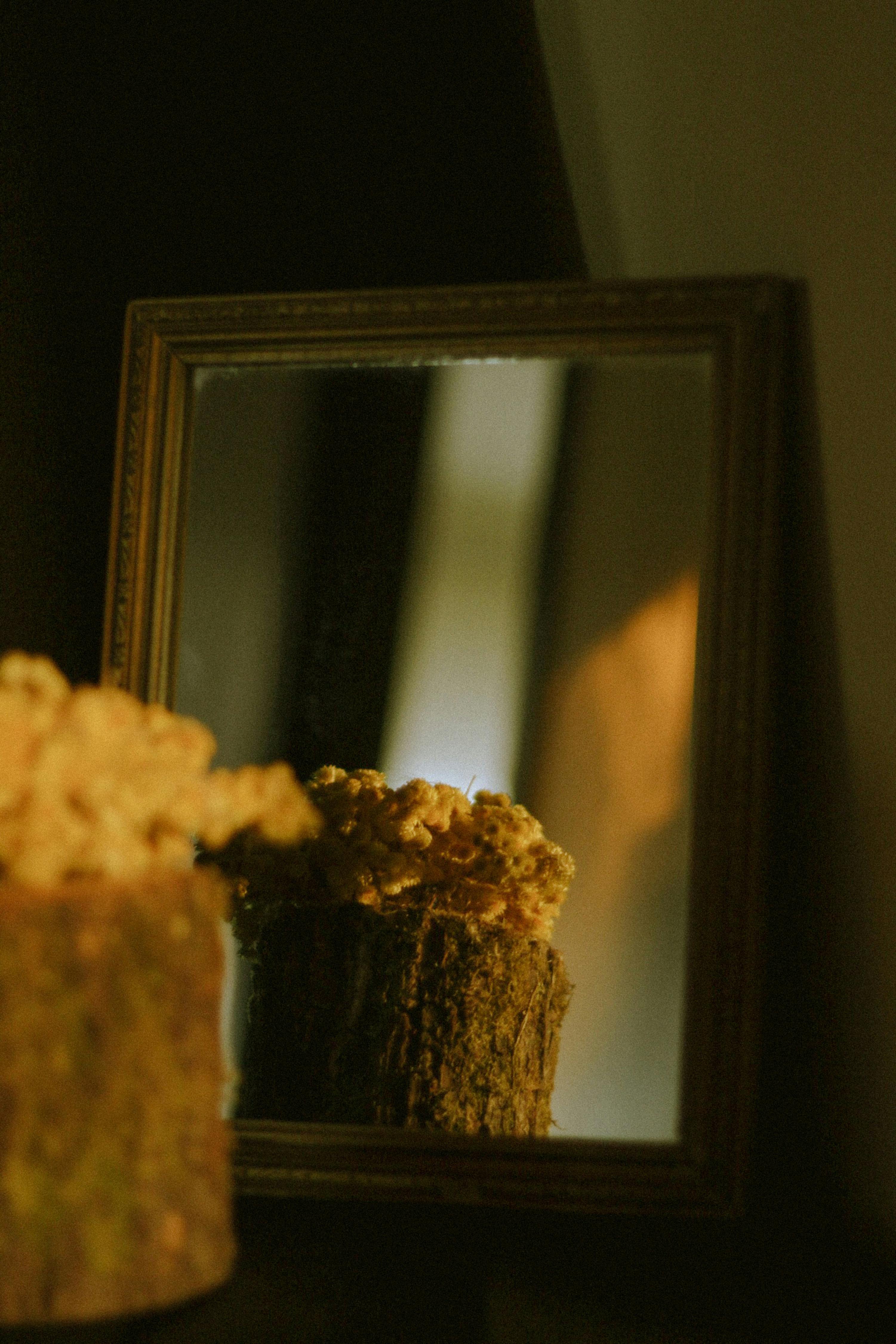 Reflection Mirror Photos, Download The BEST Free Reflection Mirror ...