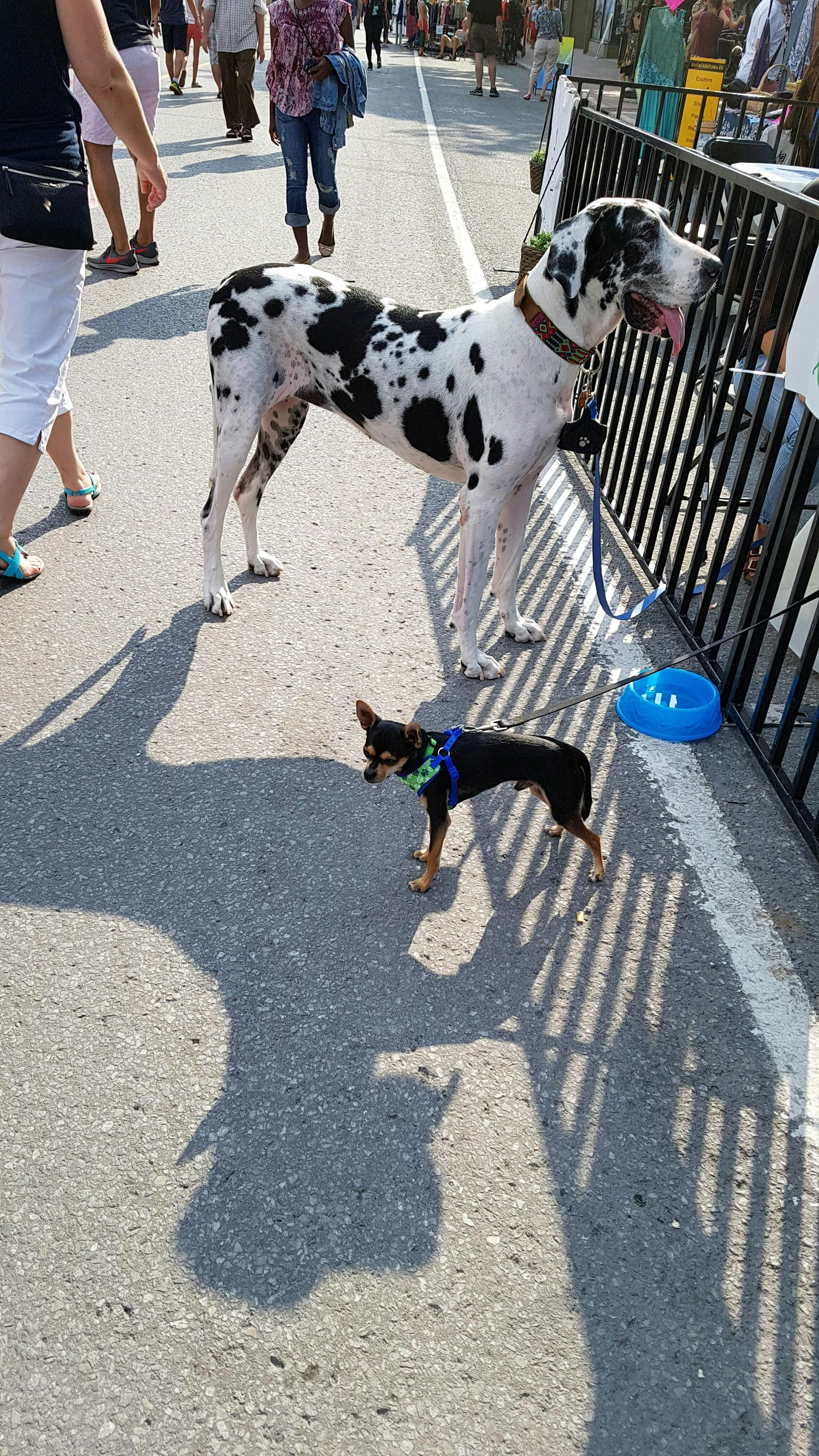 C. Edward Olson - 사진