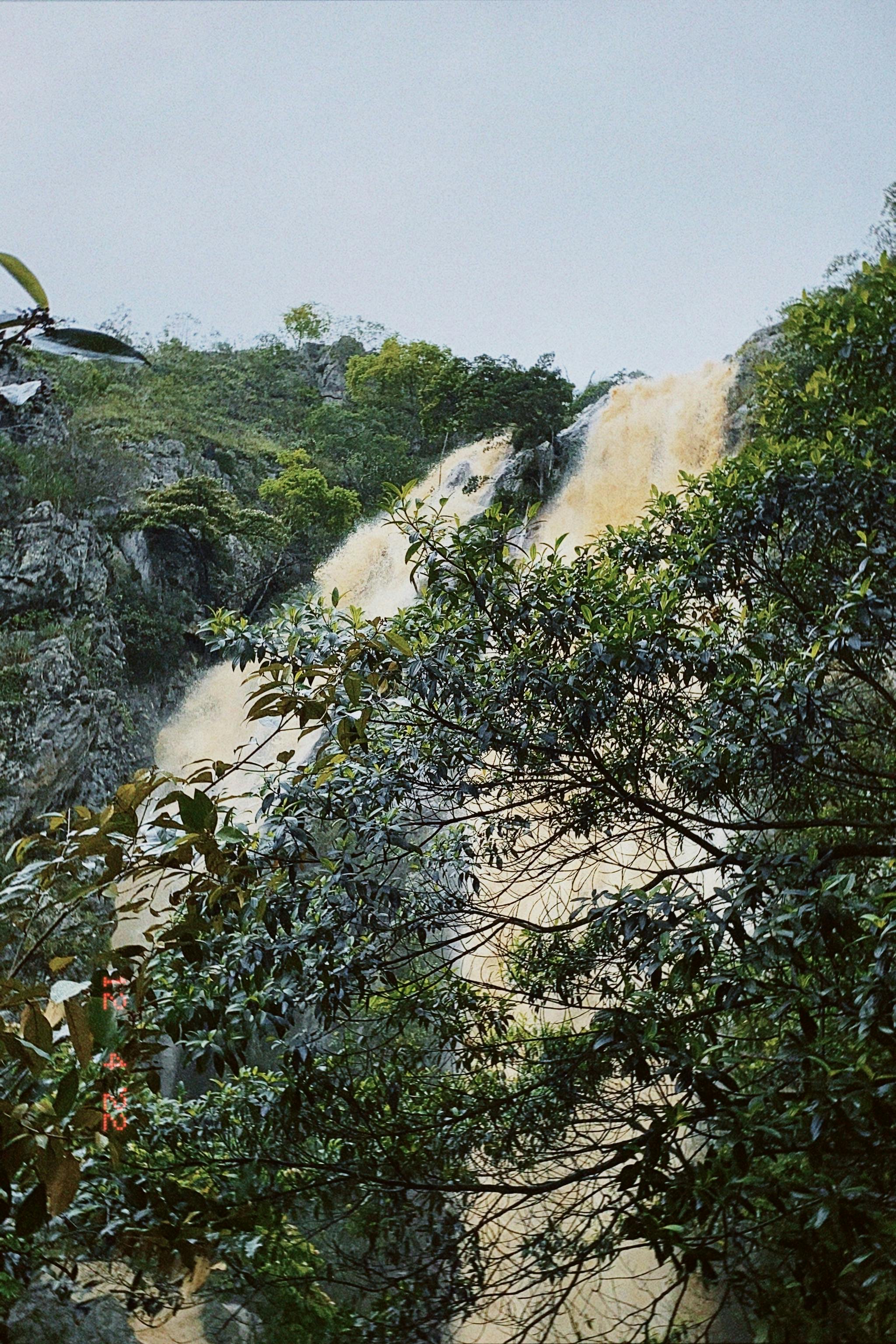 Quick Photos, Download The BEST Free Quick Stock Photos & HD Images