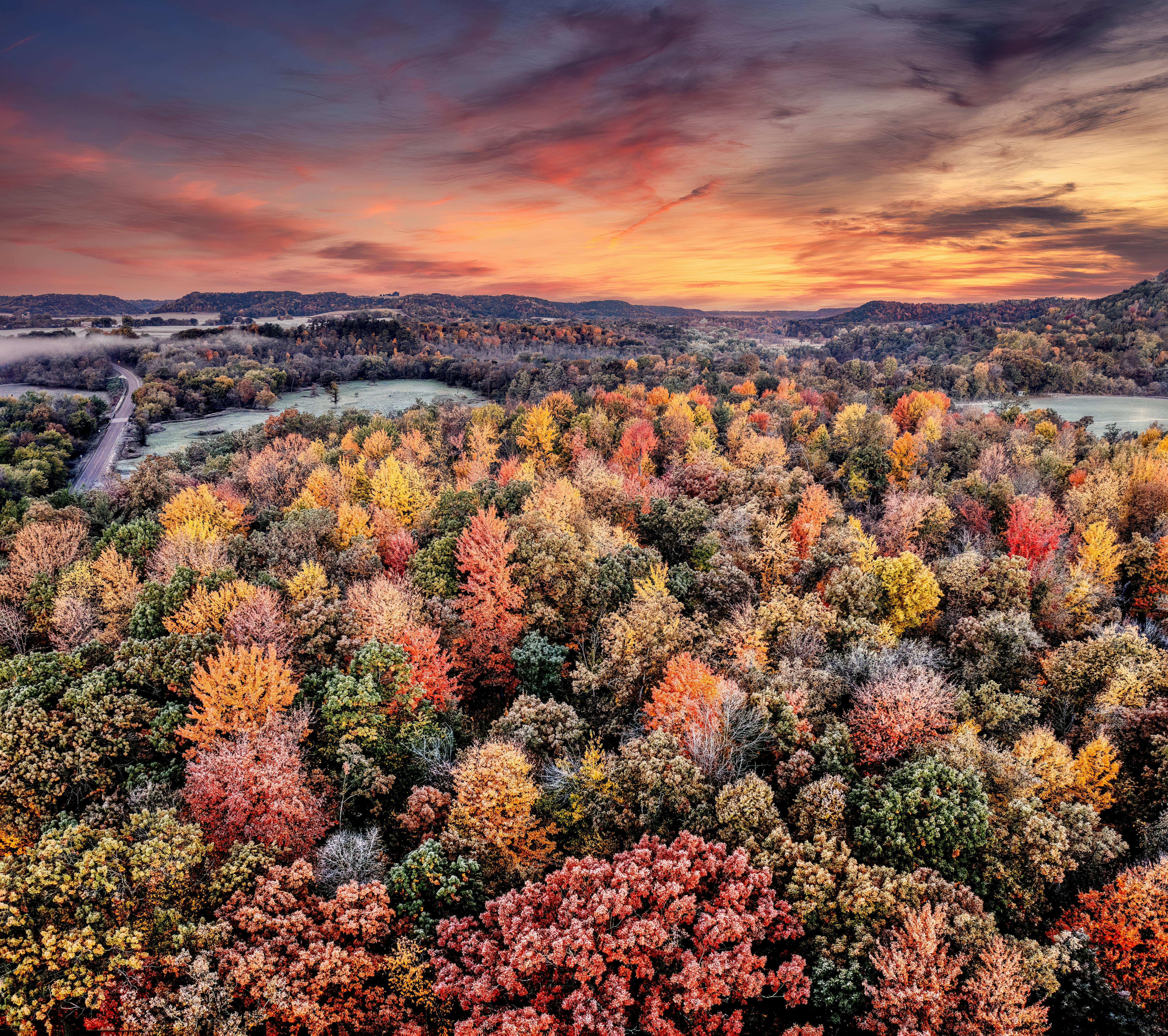 Scenic View of Autumn Forest at Sunset · Free Stock Photo
