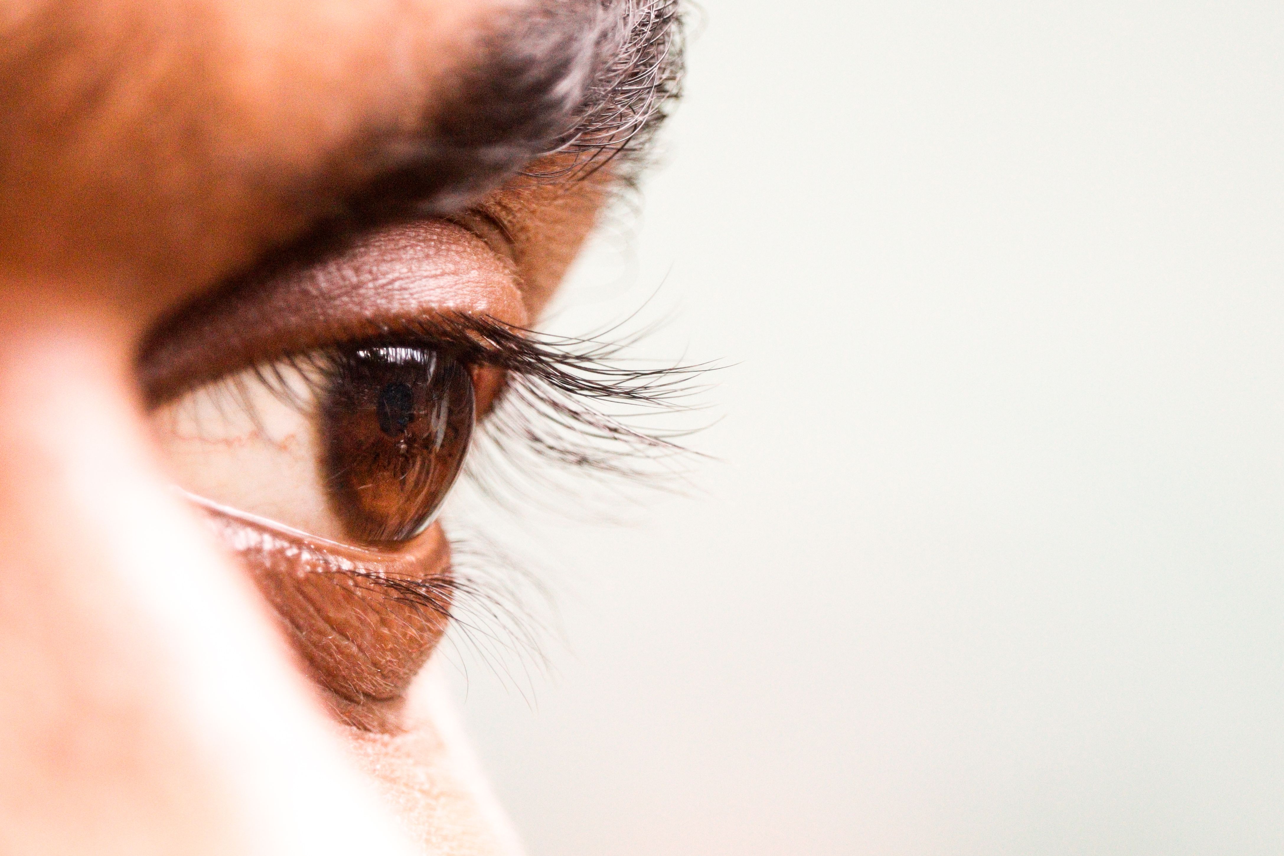 Eye Close Up · Free Stock Photo