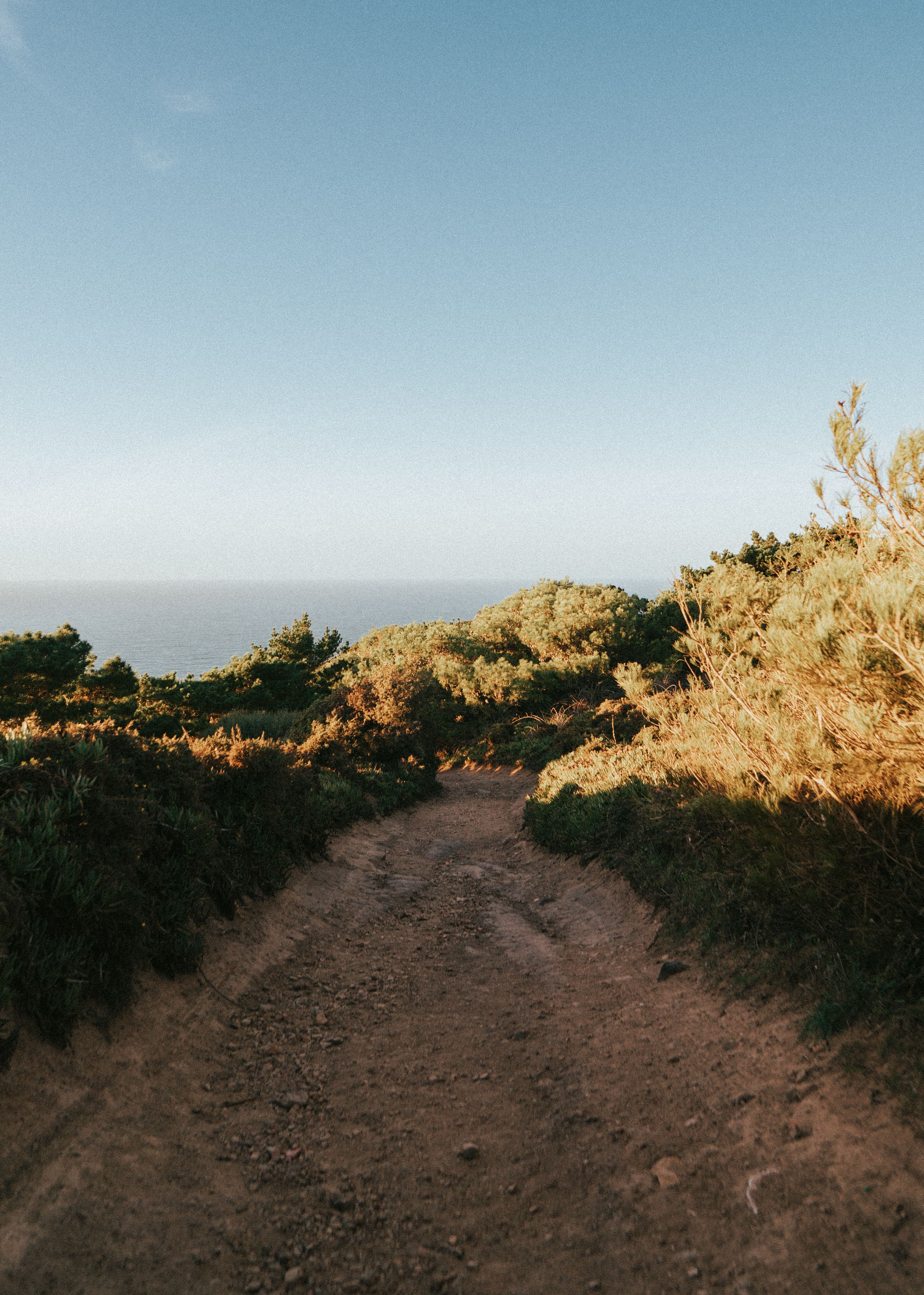 Road to the ocean · Free Stock Photo