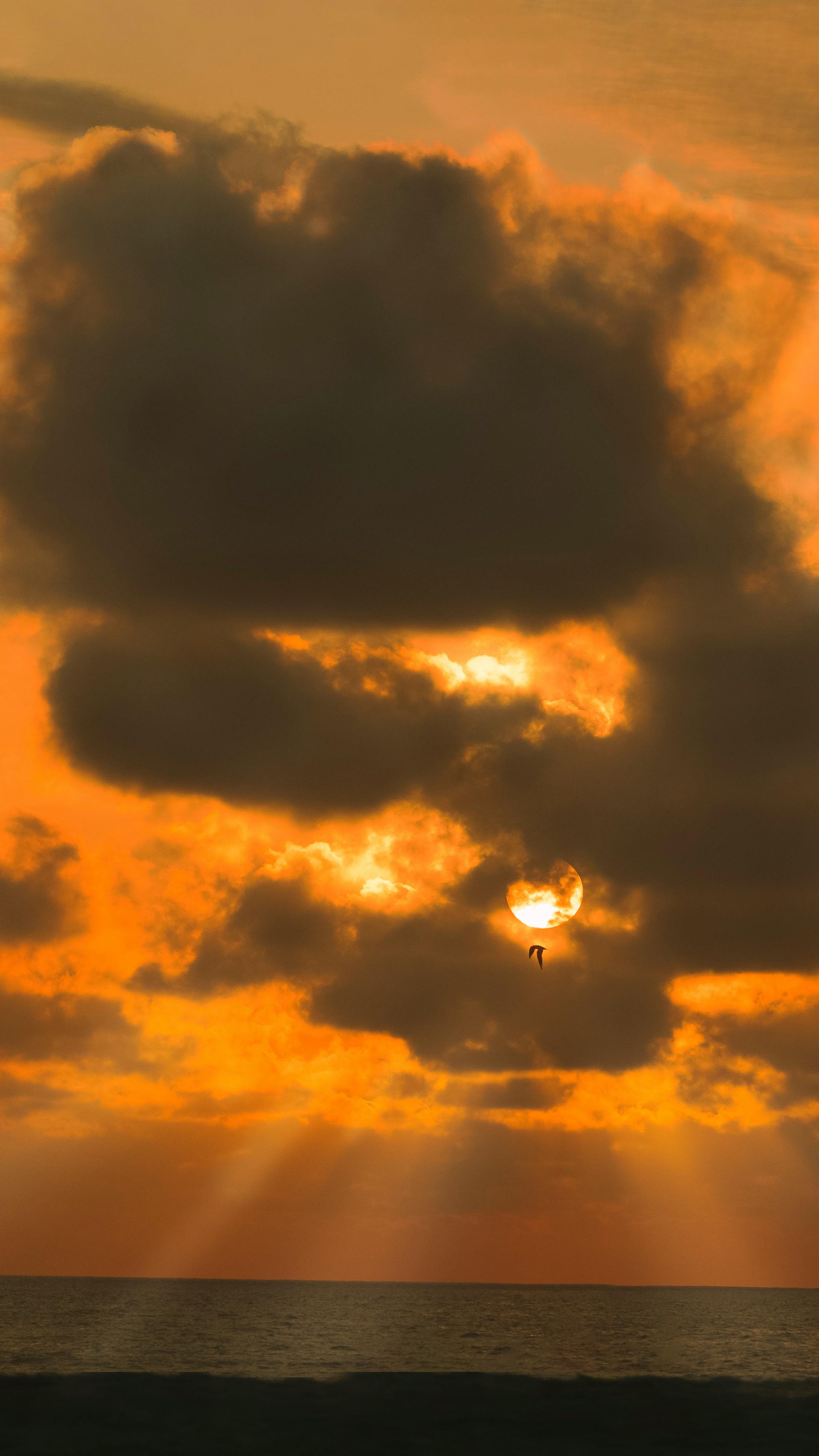 Sunset Cloud Photos, Download The BEST Free Sunset Cloud Stock Photos ...