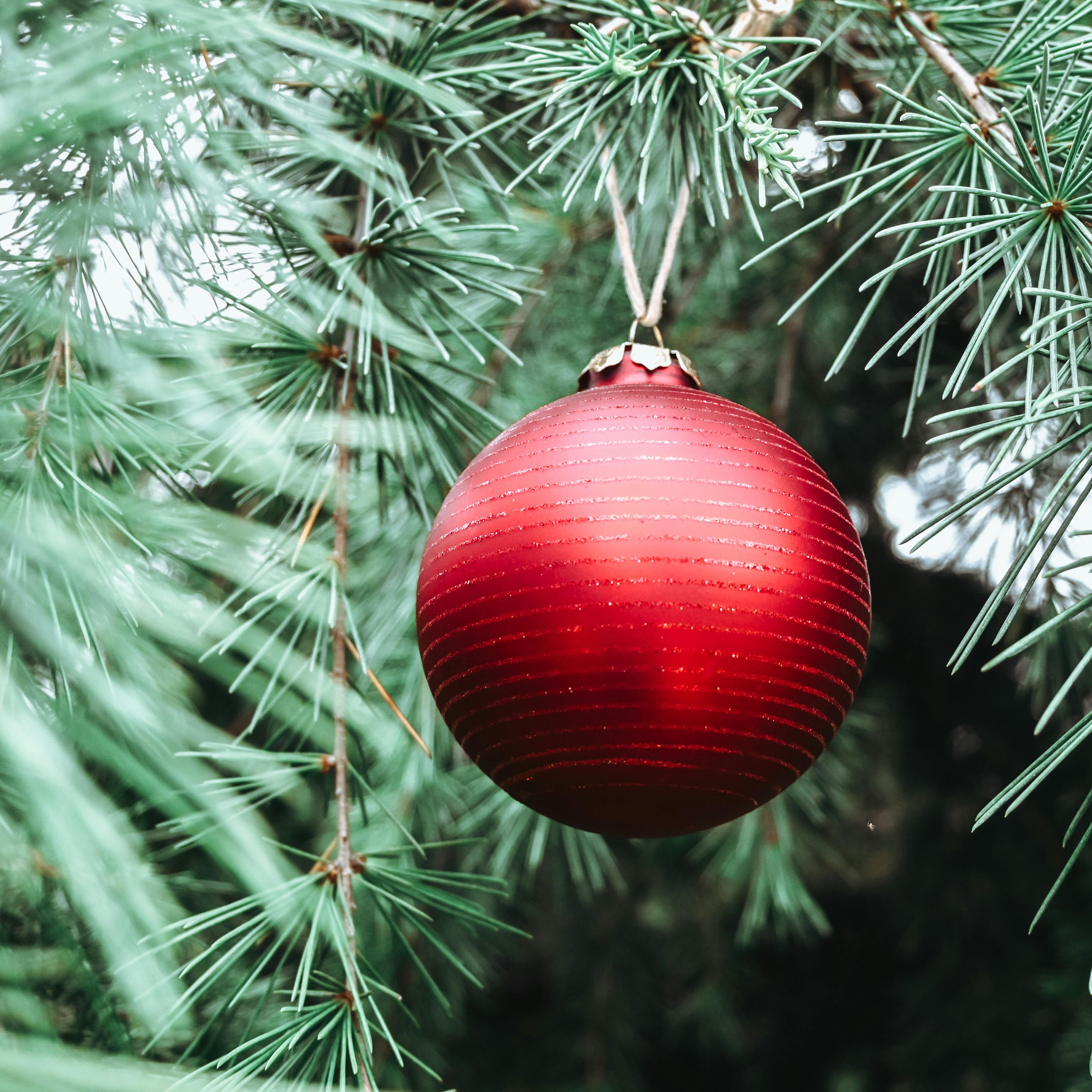 Close-up of a Red Bauble Hanging on a Christmas Tree · Free Stock Photo