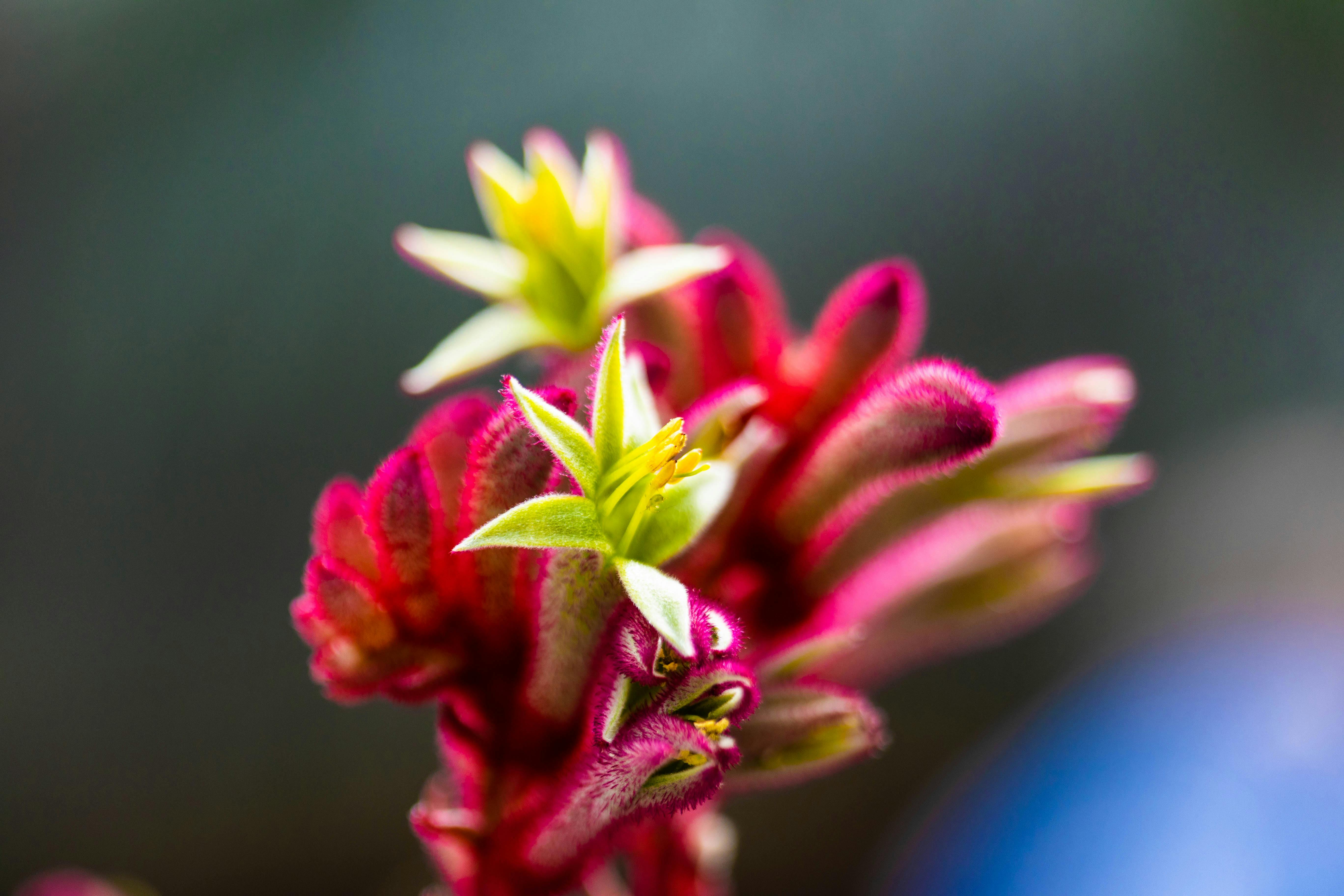 Simon Lee - Photography