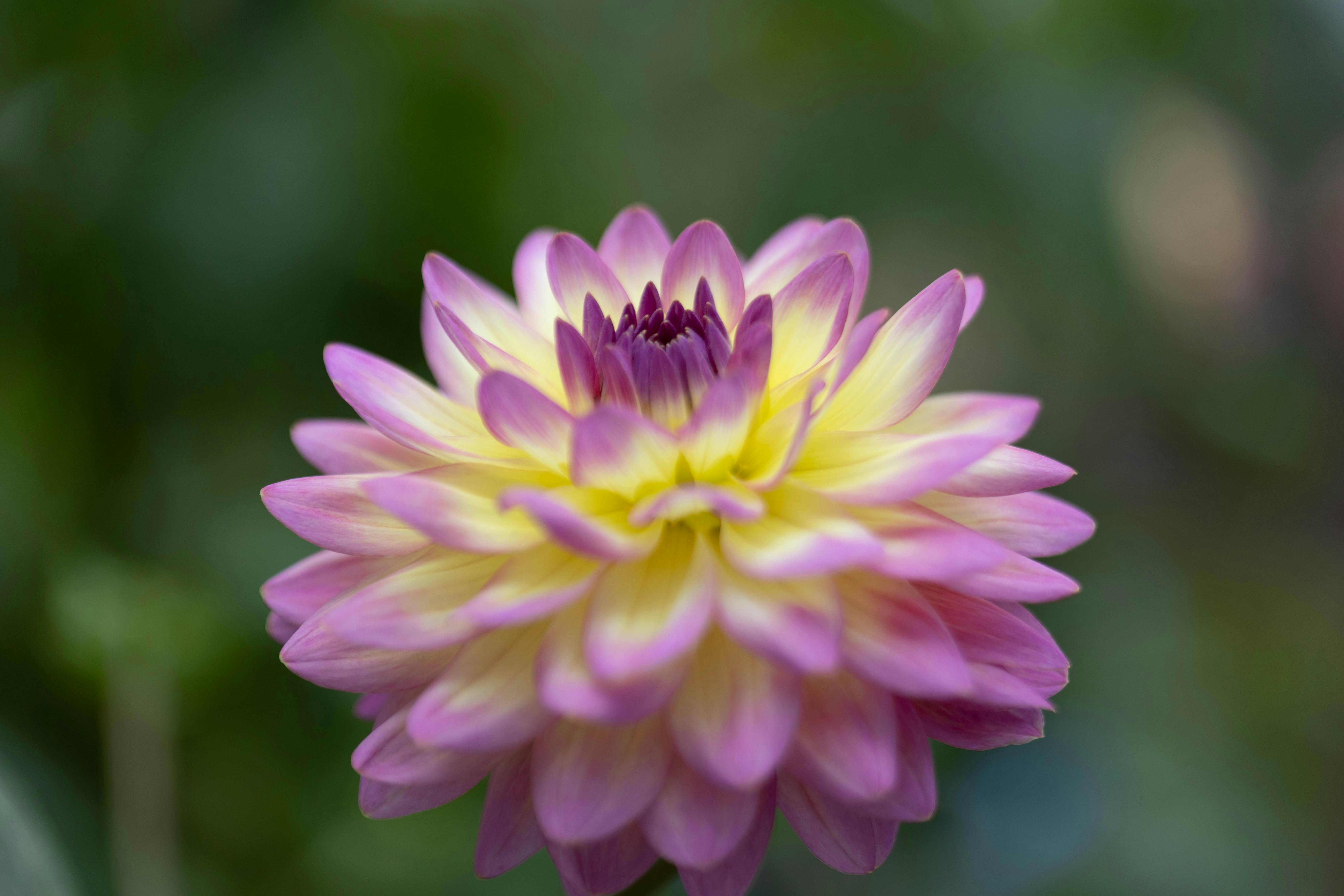 Simon Lee - Photography