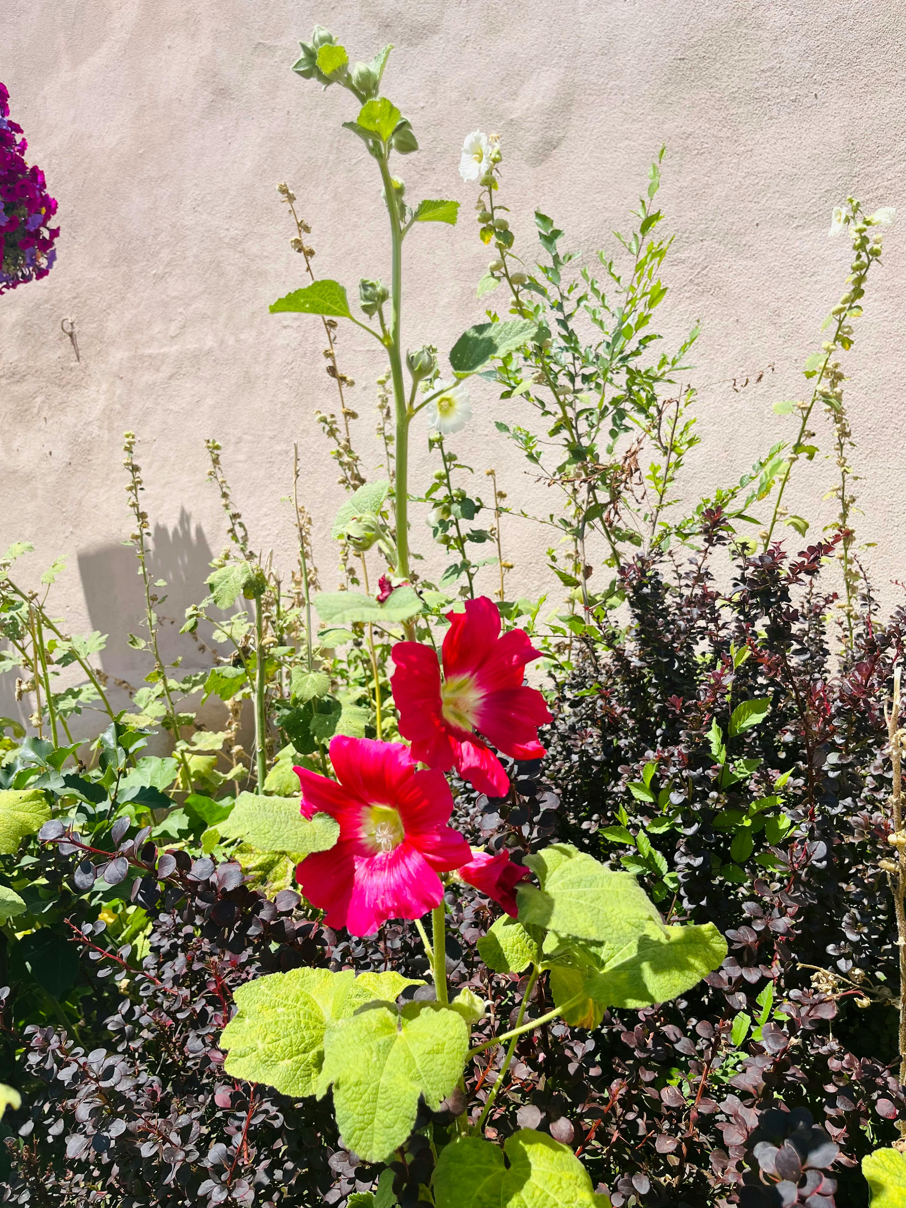 Christy B - Fotografía