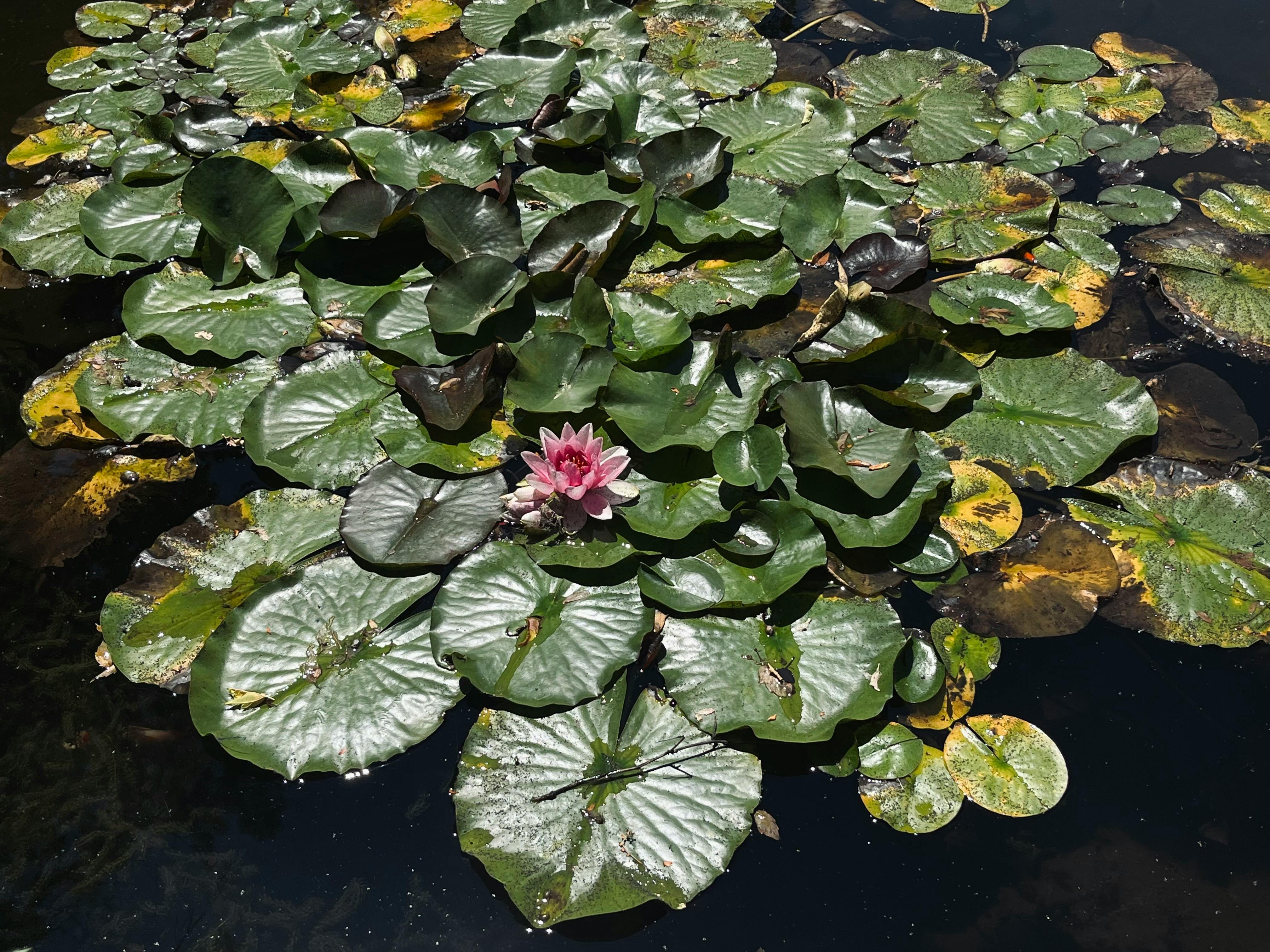 Christy B - Fotografía