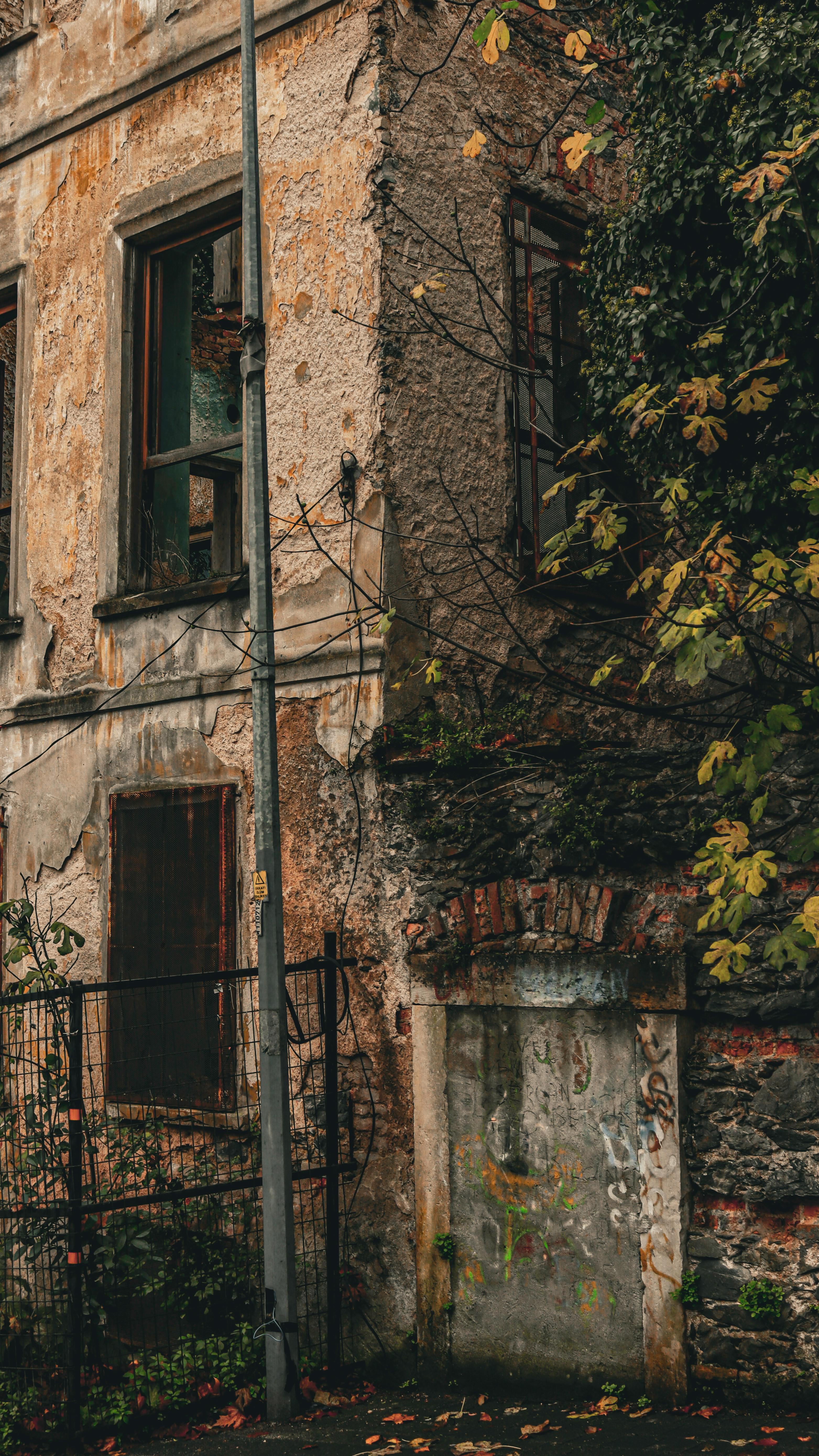 Tree behind Destroyed Buildings · Free Stock Photo