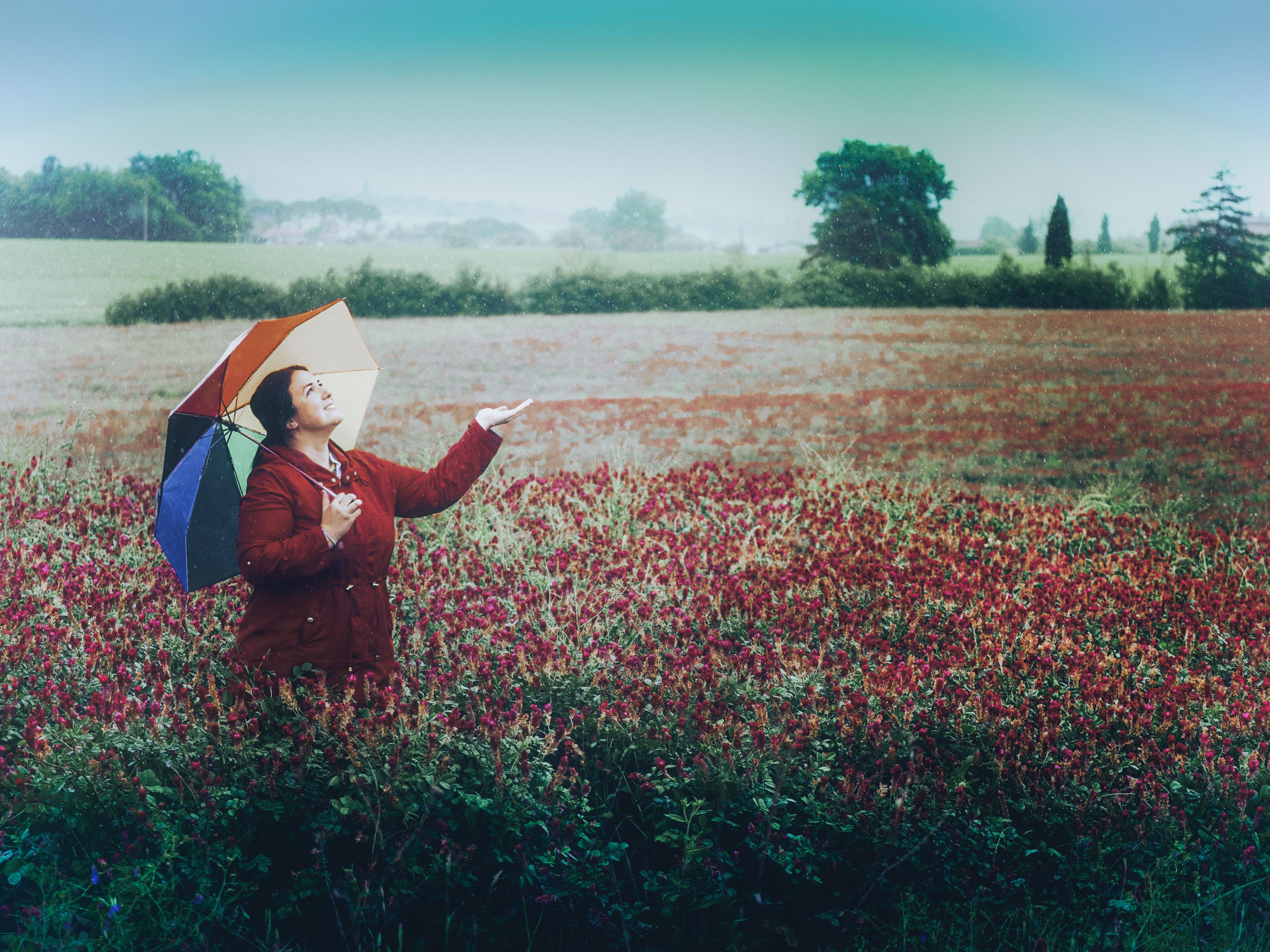 Beautiful Rain Umbrella Photos, Download The BEST Free Beautiful Rain ...