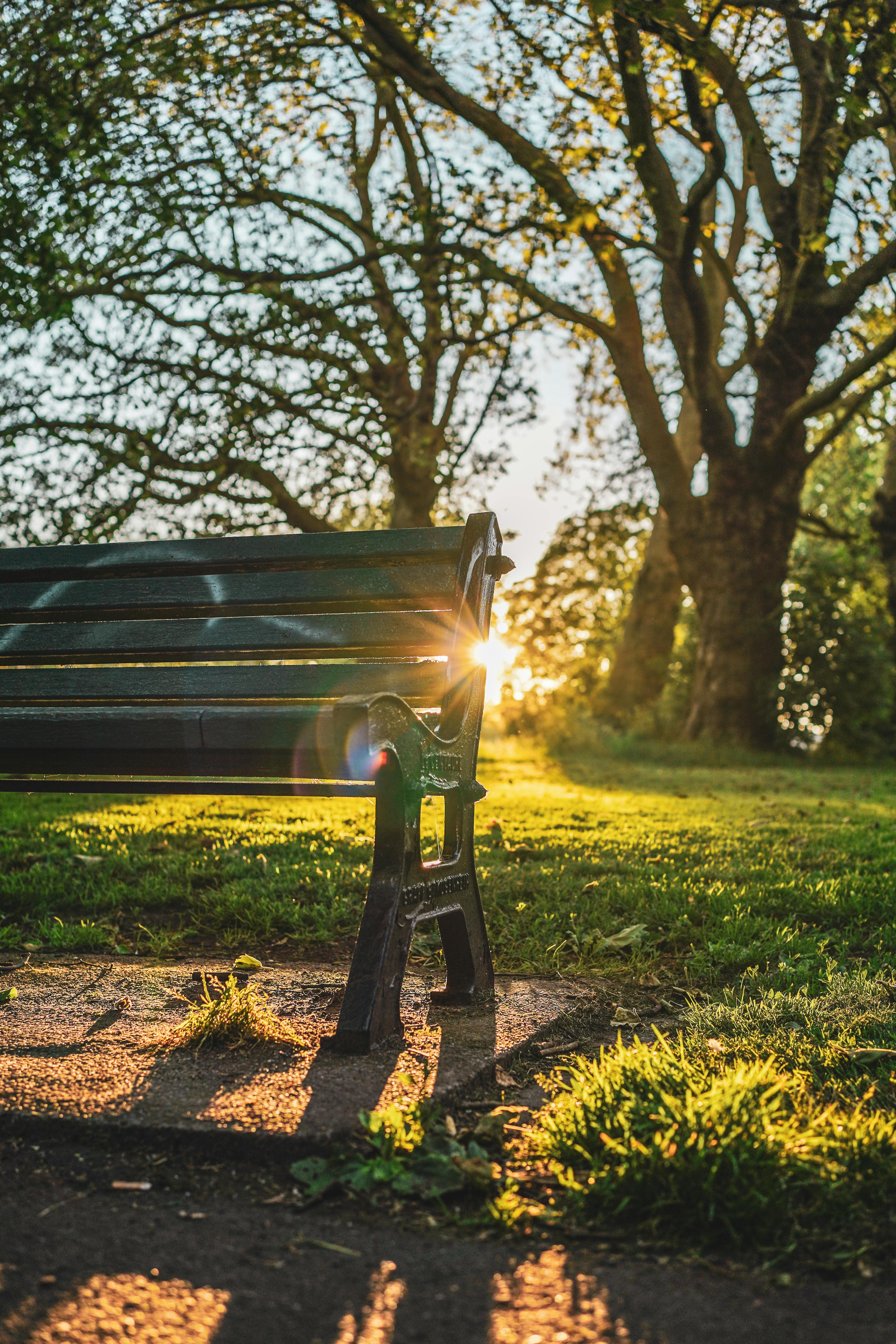 Park Bench in Sunlight · Free Stock Photo