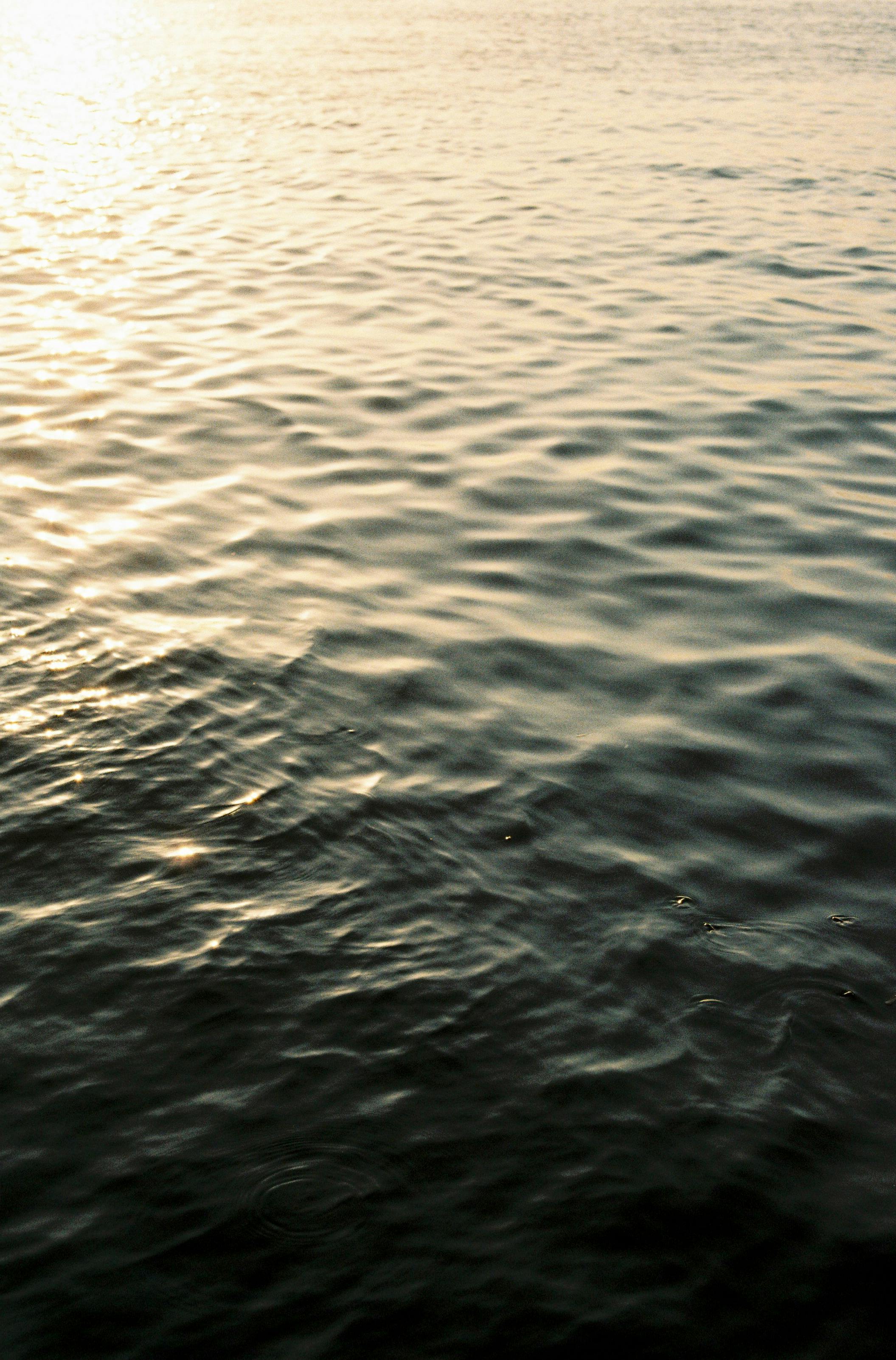 Water Surface in Close-up Photography · Free Stock Photo