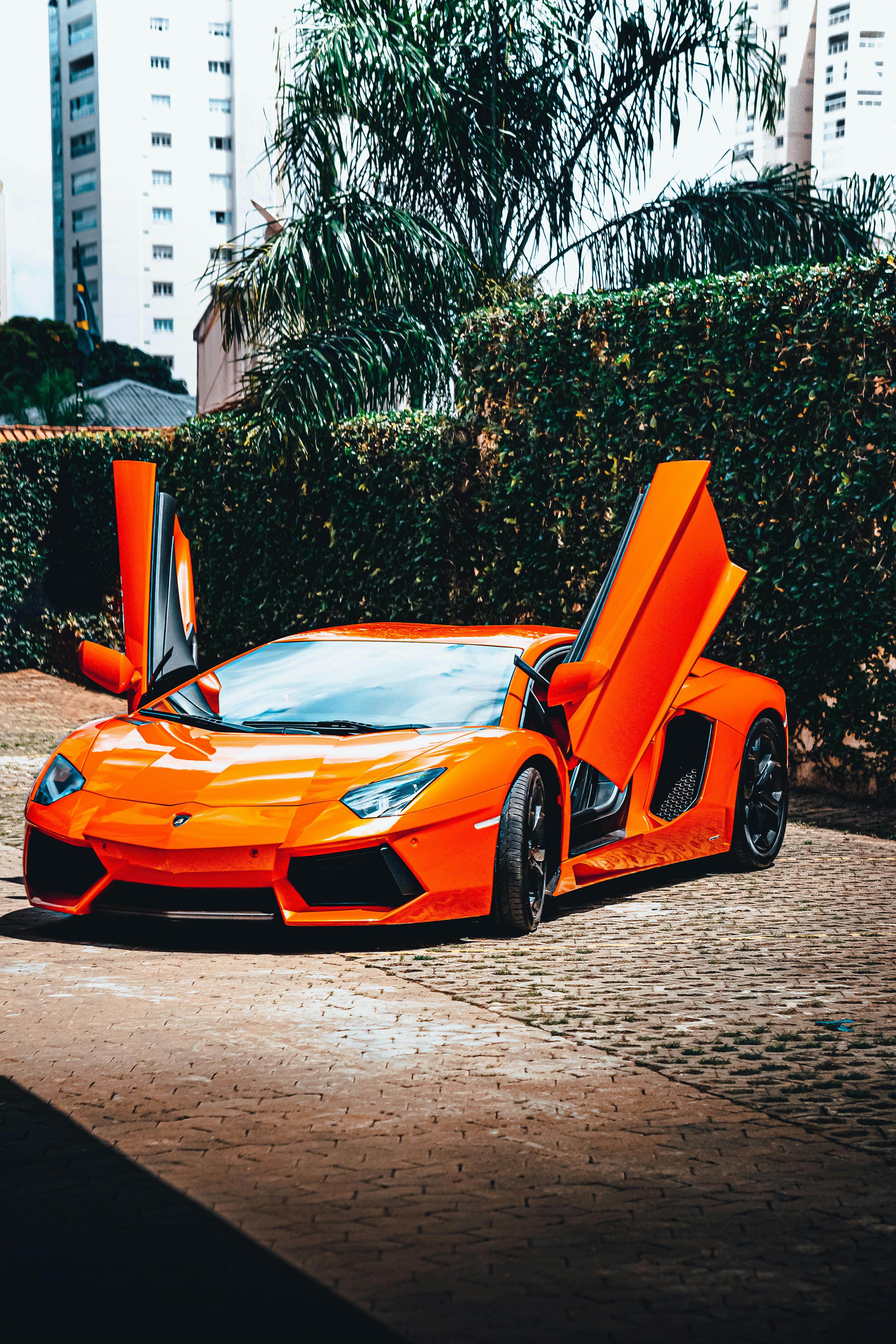 Luxurious Fast Car · Free Stock Photo