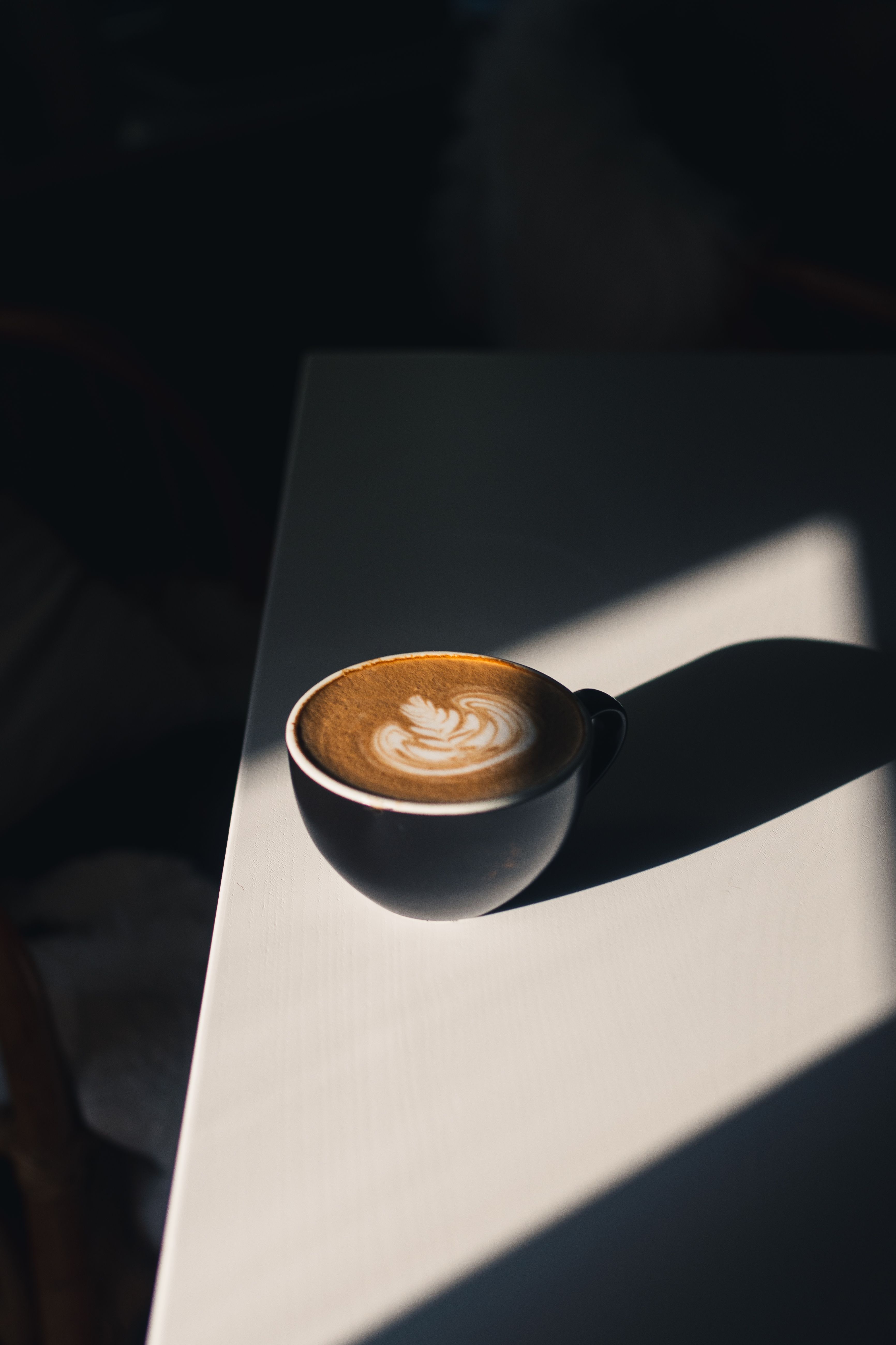 Volumetric Sunlight Photos, Download Free Volumetric Sunlight Stock ...