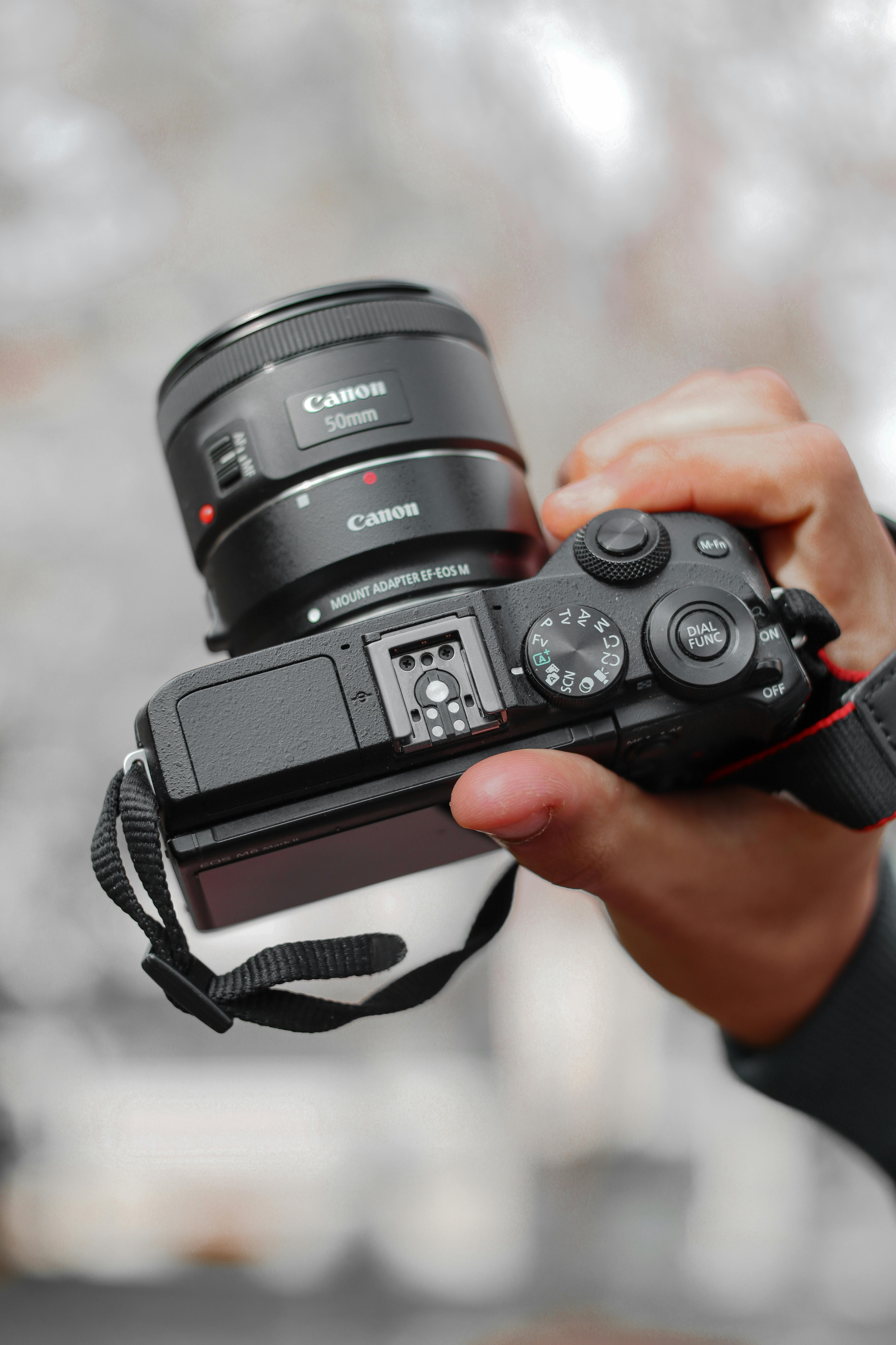 Hand Holding Camera · Free Stock Photo