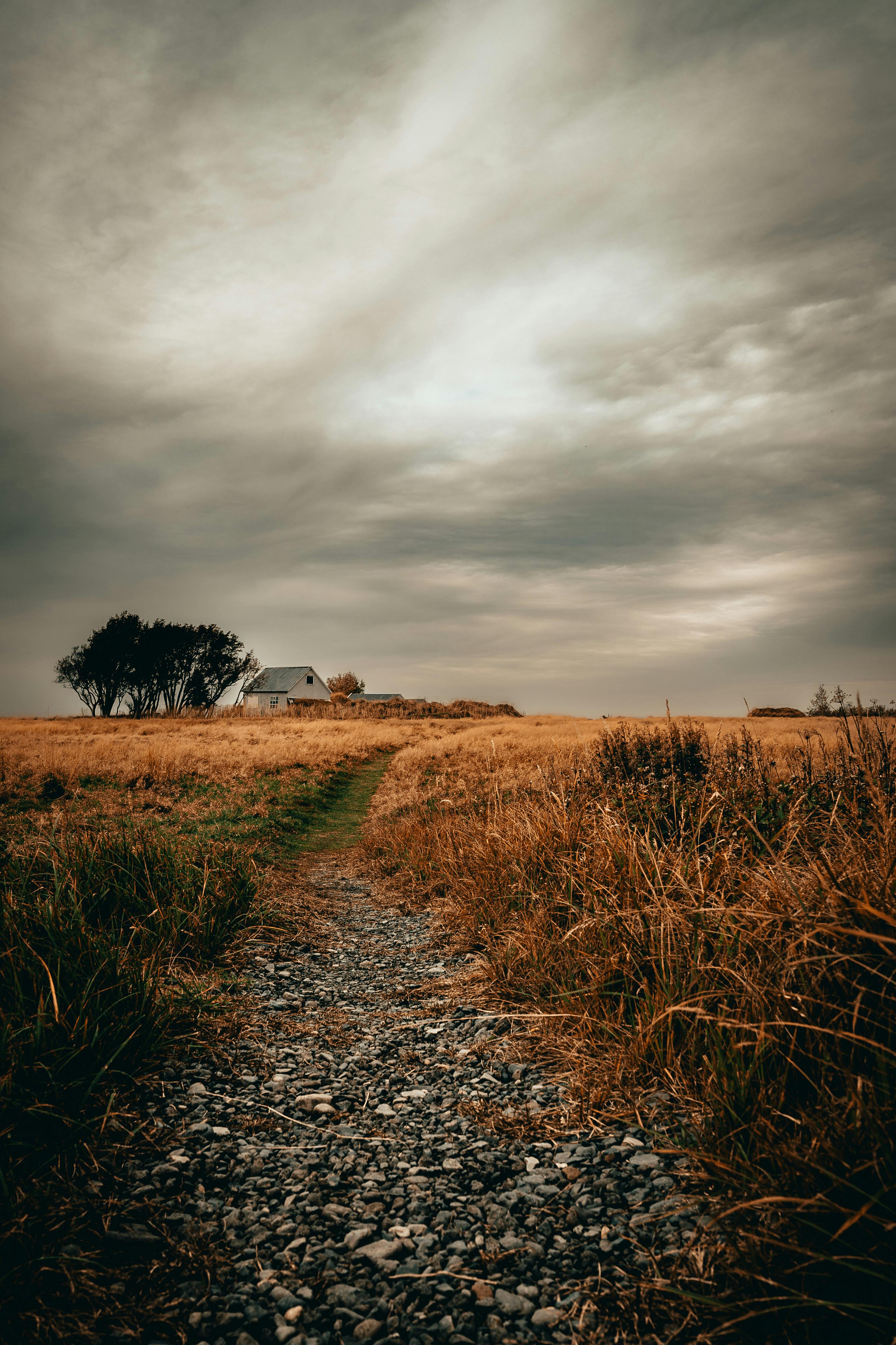 Footpath in a Field · Free Stock Photo