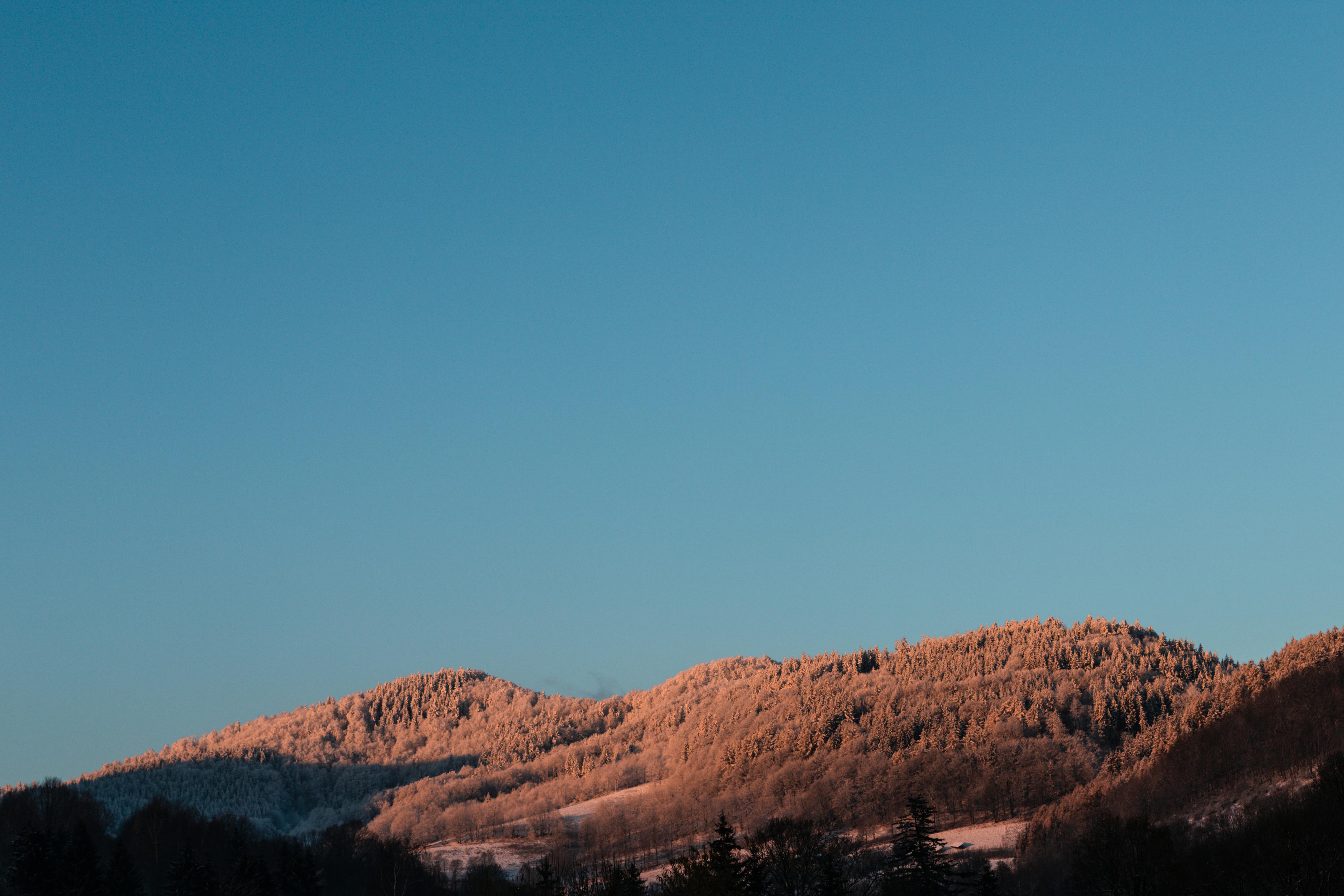 Hecker Wallpaper Photos, Download The BEST Free Hecker Wallpaper Stock ...