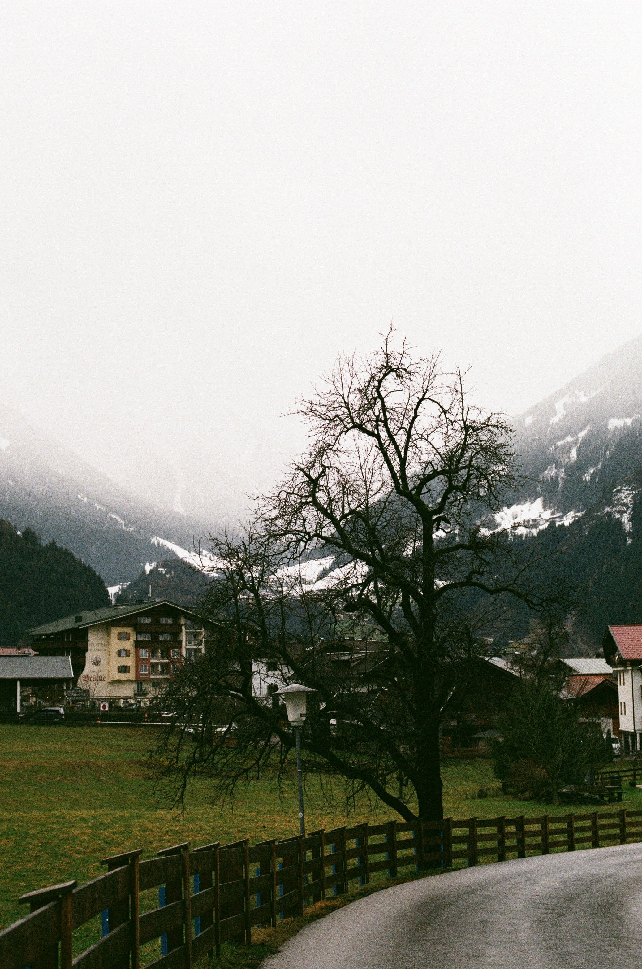 Mountains Fog Photos, Download The BEST Free Mountains Fog Stock Photos ...