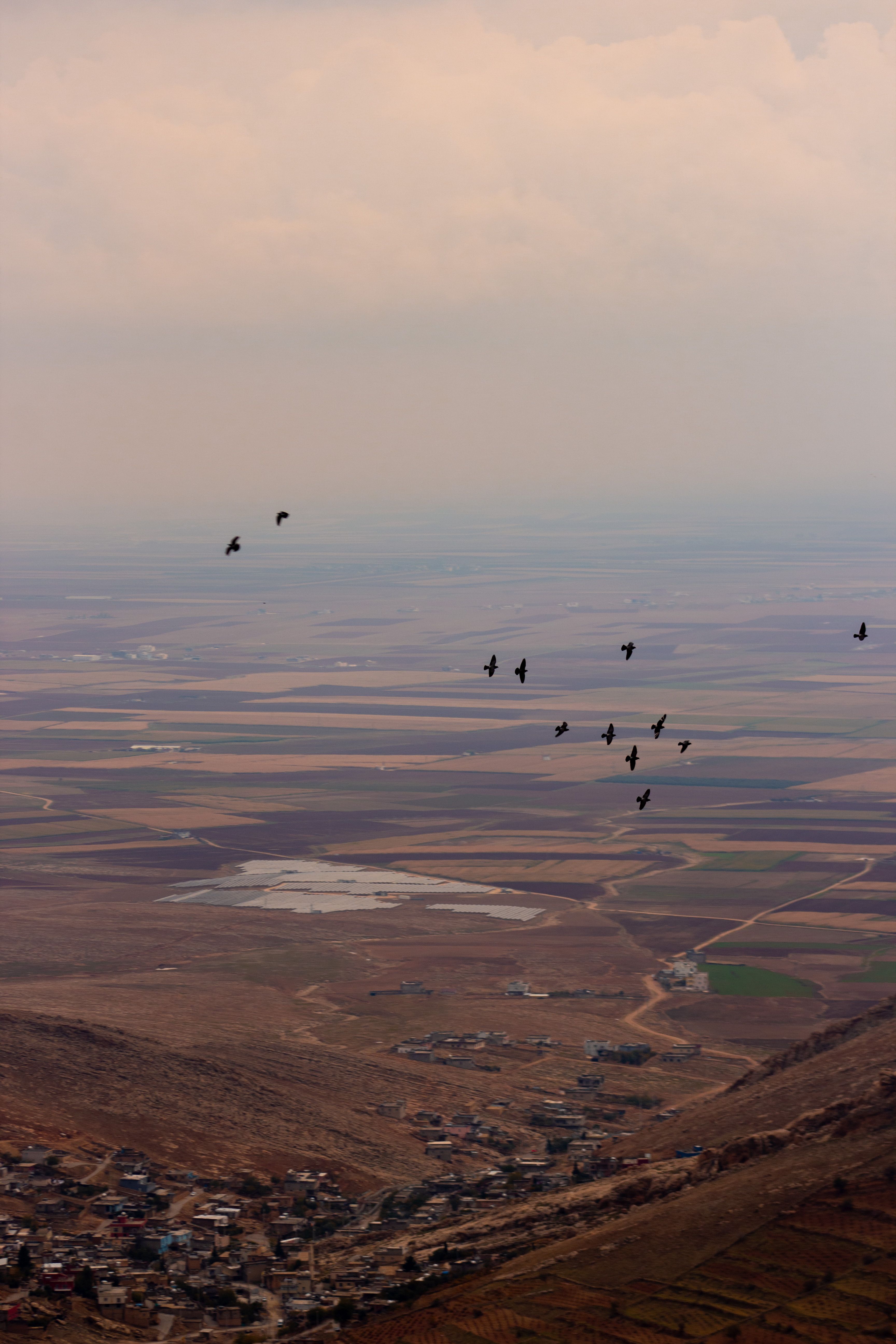 Flock of Birds Flying Over a Group of People Sitting in a Rowboat ...