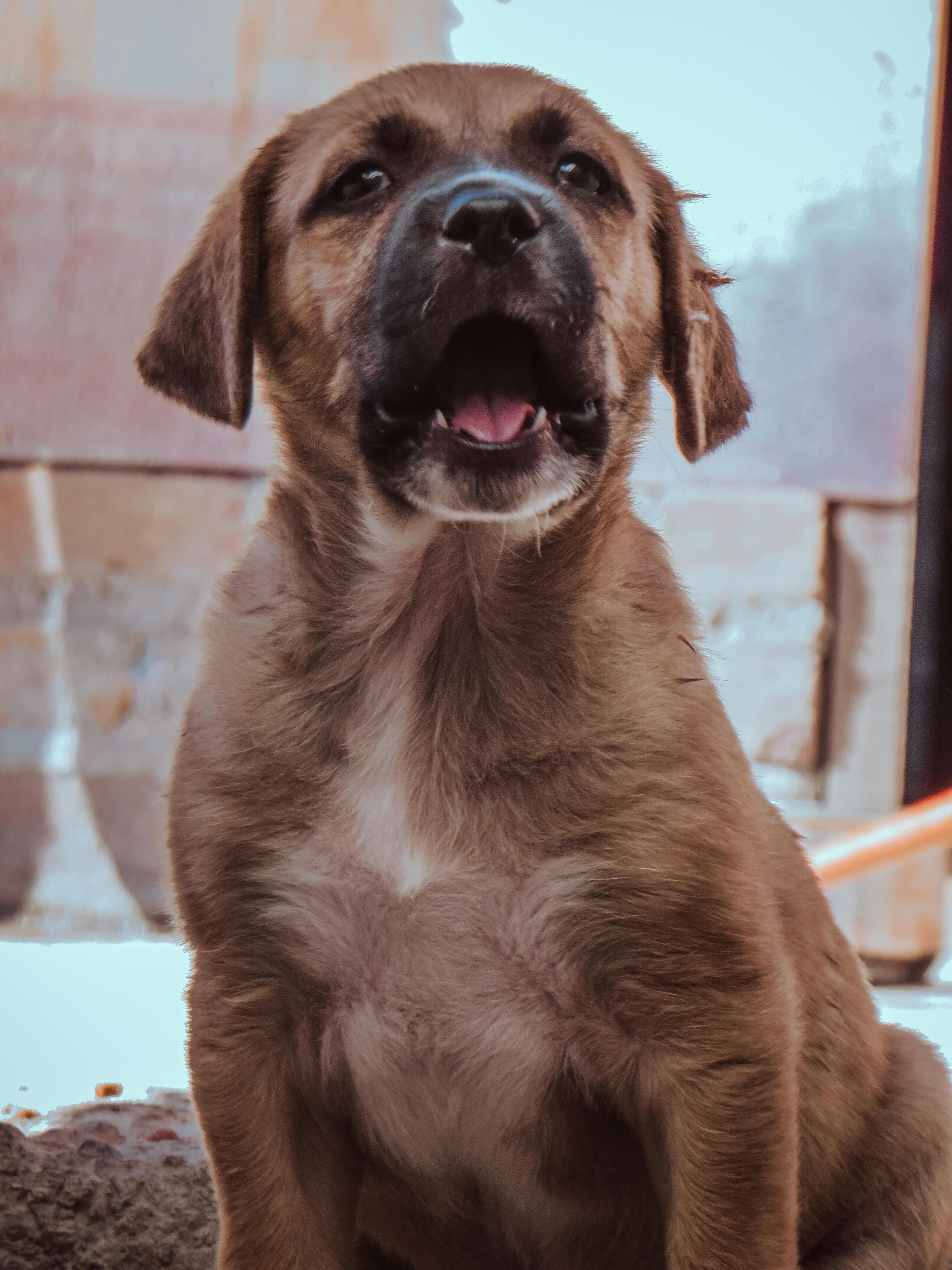 Erik Torres - 사진