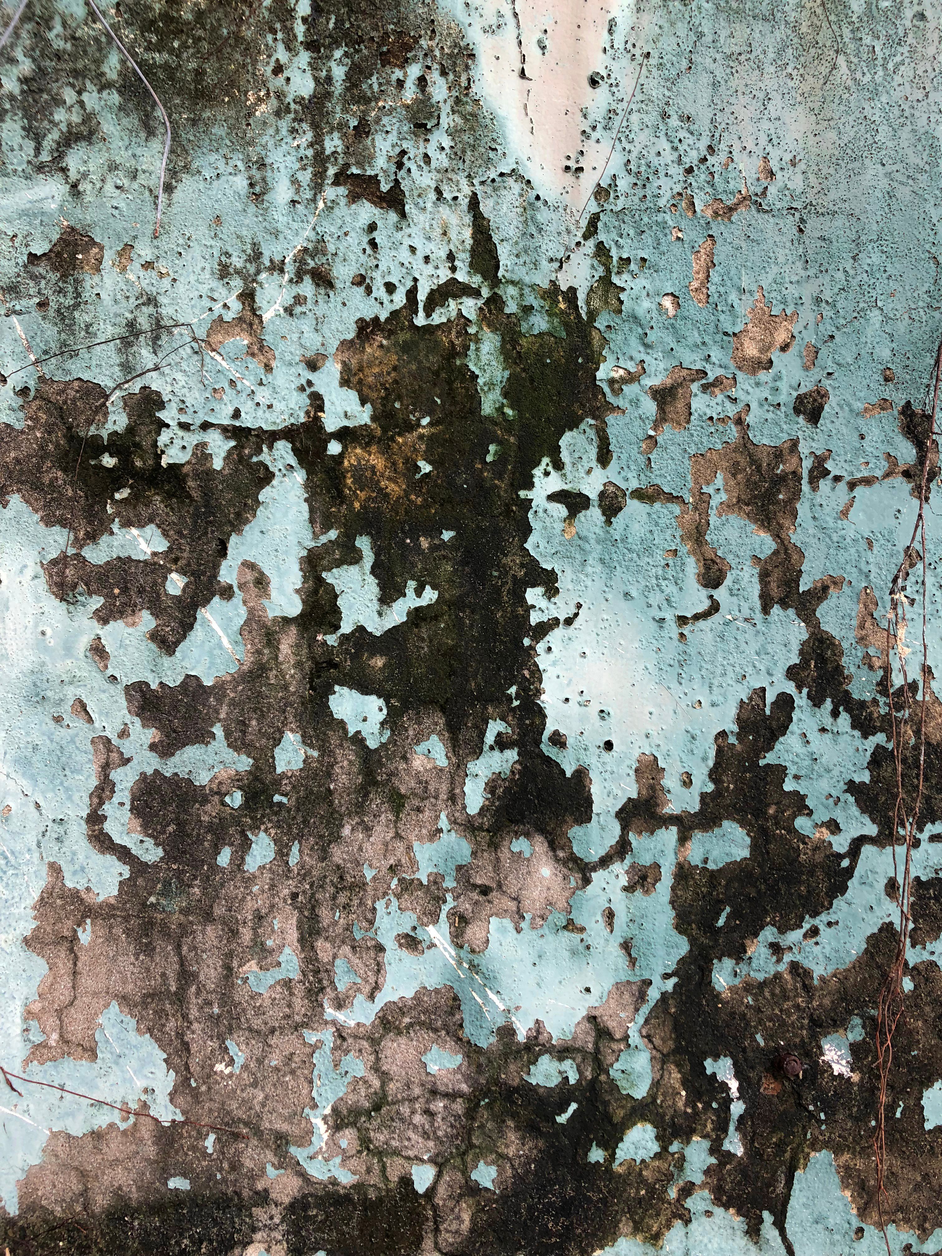Close up of Damaged Wall · Free Stock Photo