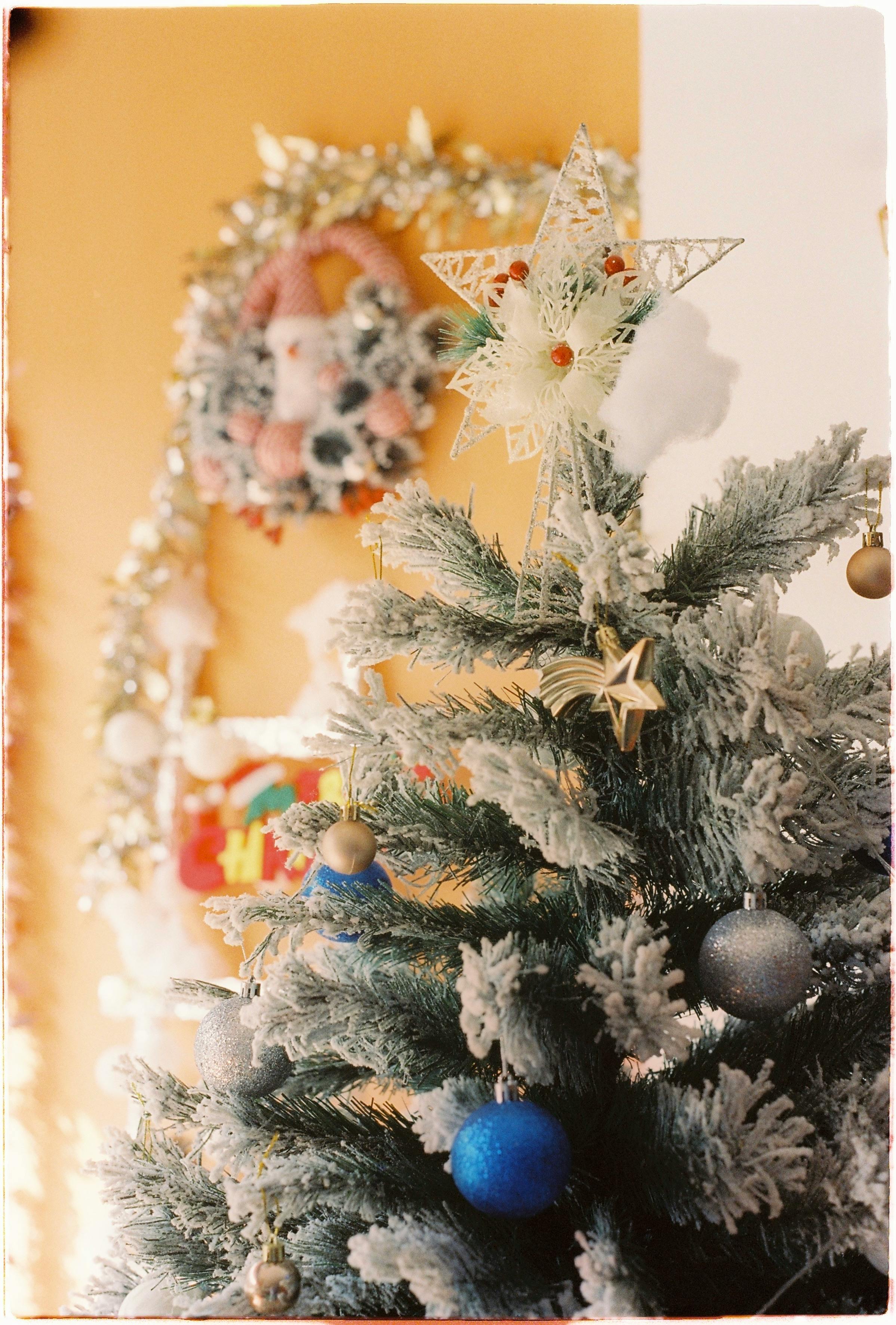 Fir Tree with Decor Indoors · Free Stock Photo