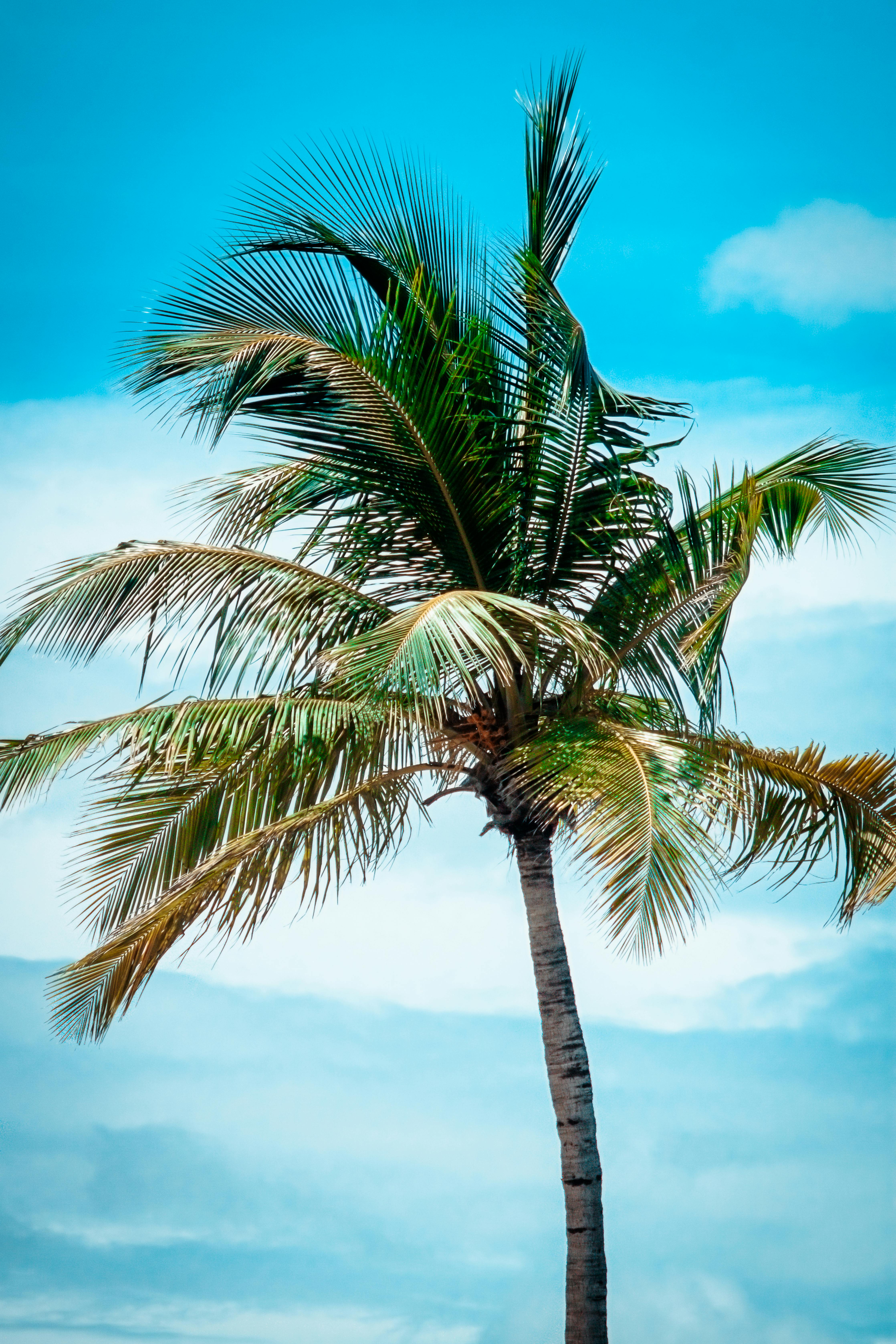 Wasif Mujahid - Photography