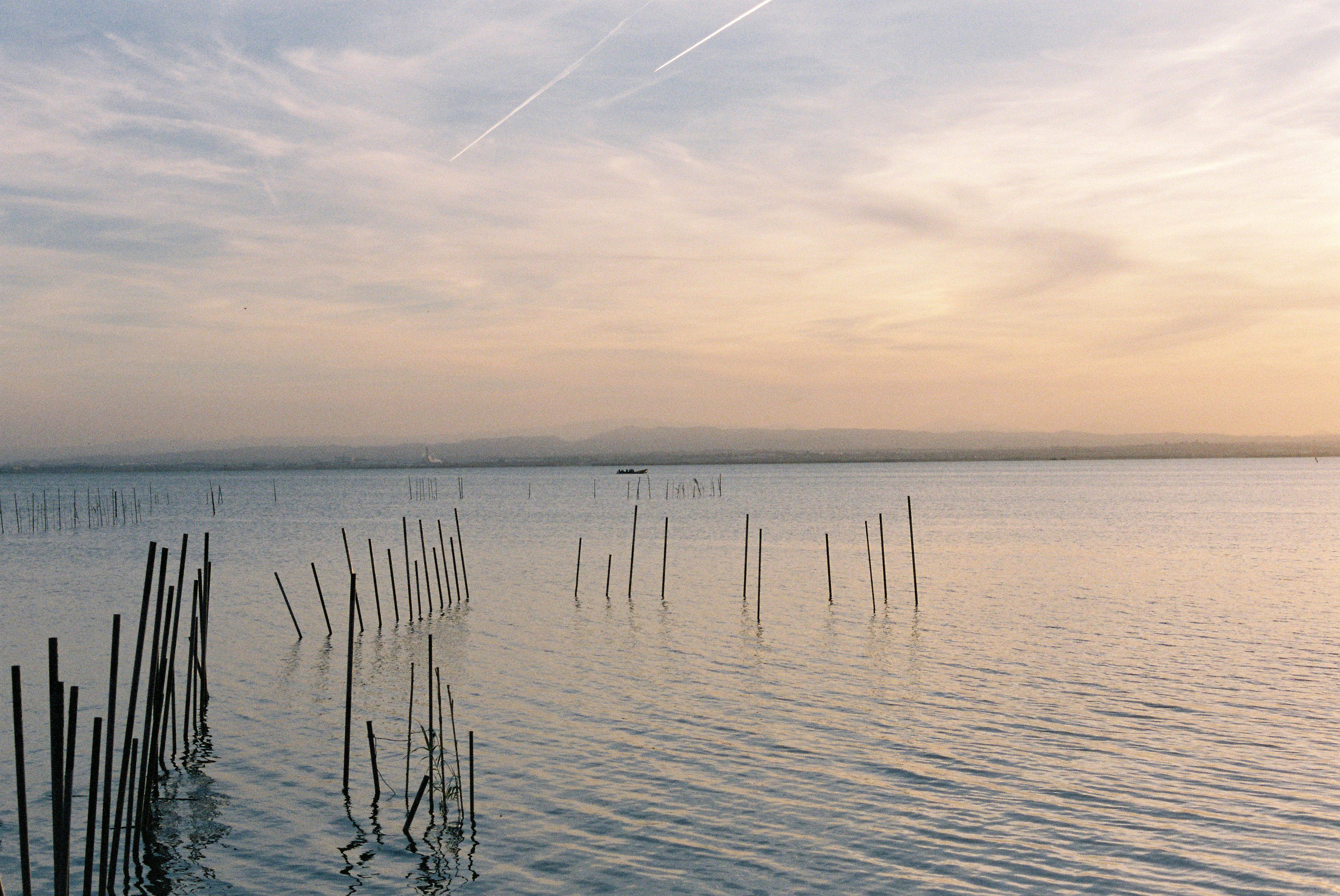 Sticks in the Sea · Free Stock Photo
