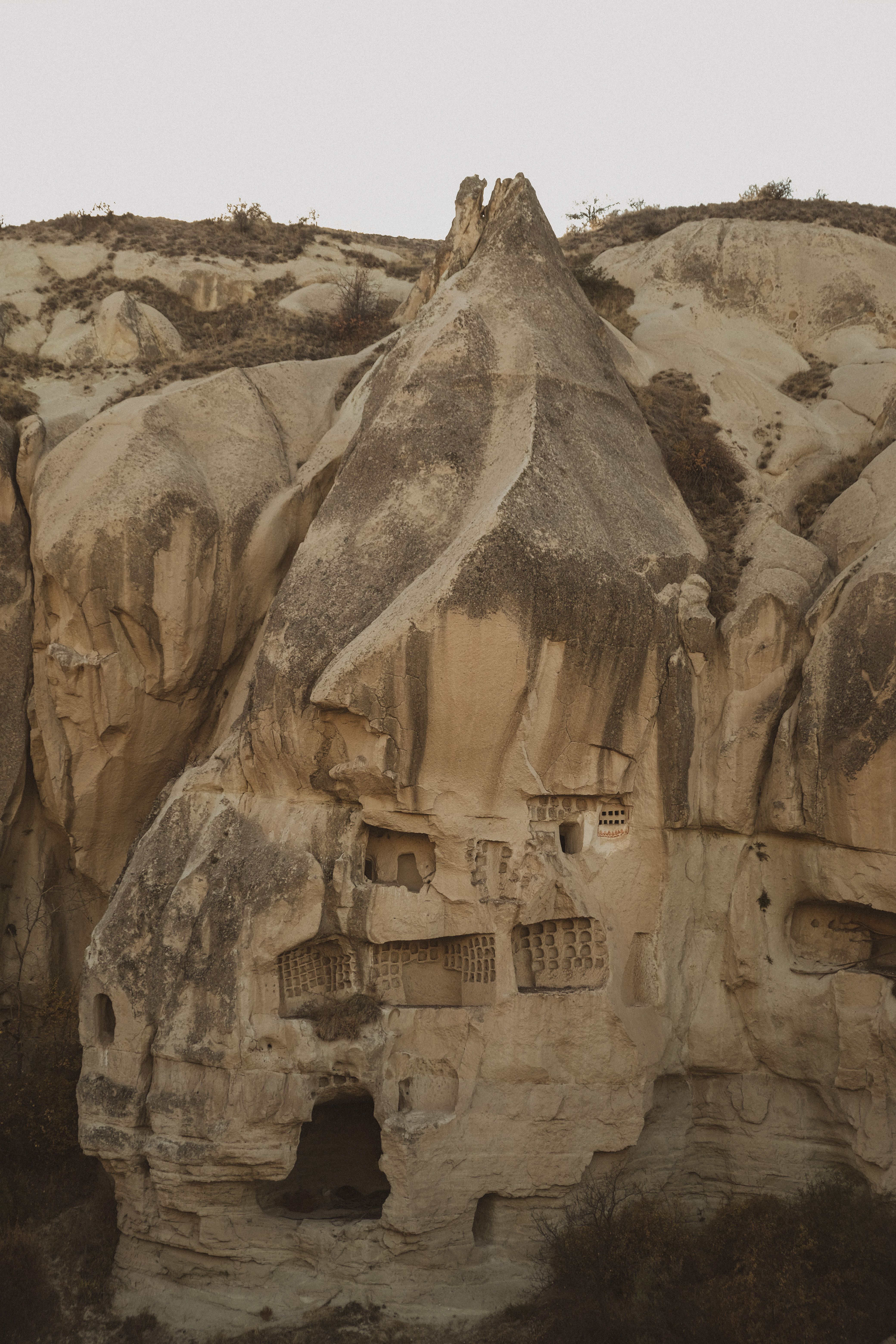 Fossilized Landscape Photos, Download The BEST Free Fossilized ...