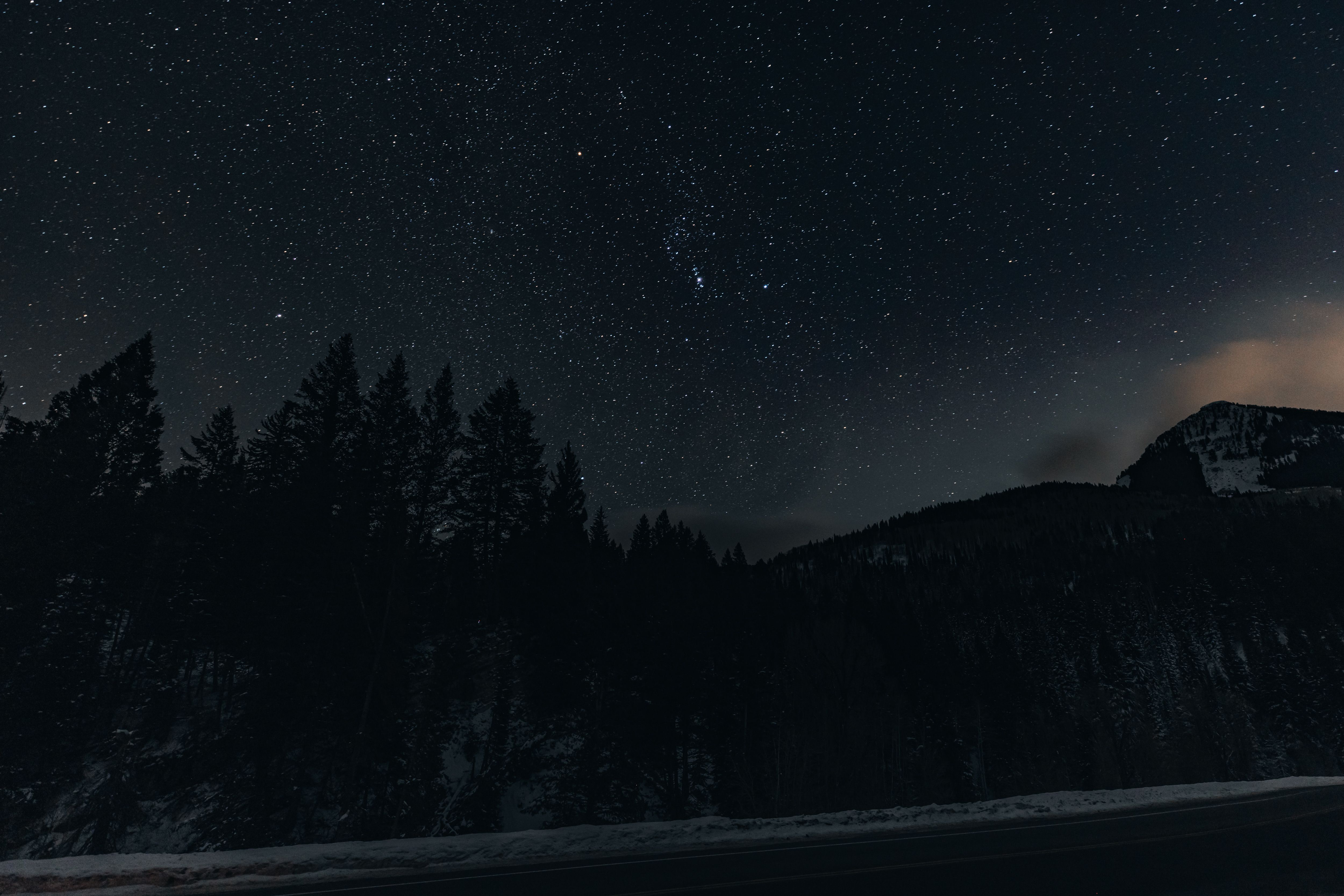 Photo of a Night Sky with Stars · Free Stock Photo