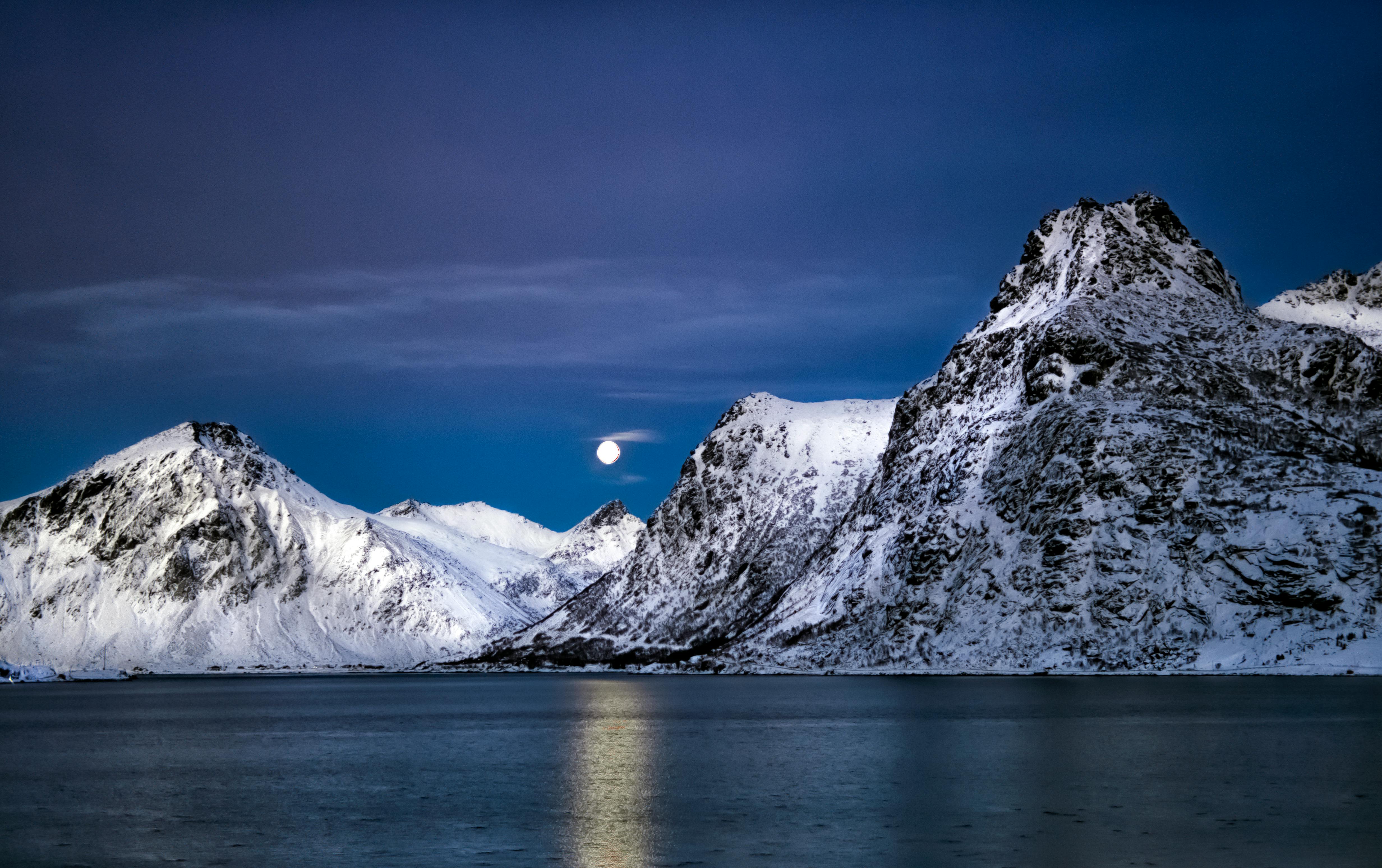 Arctic day · Free Stock Photo