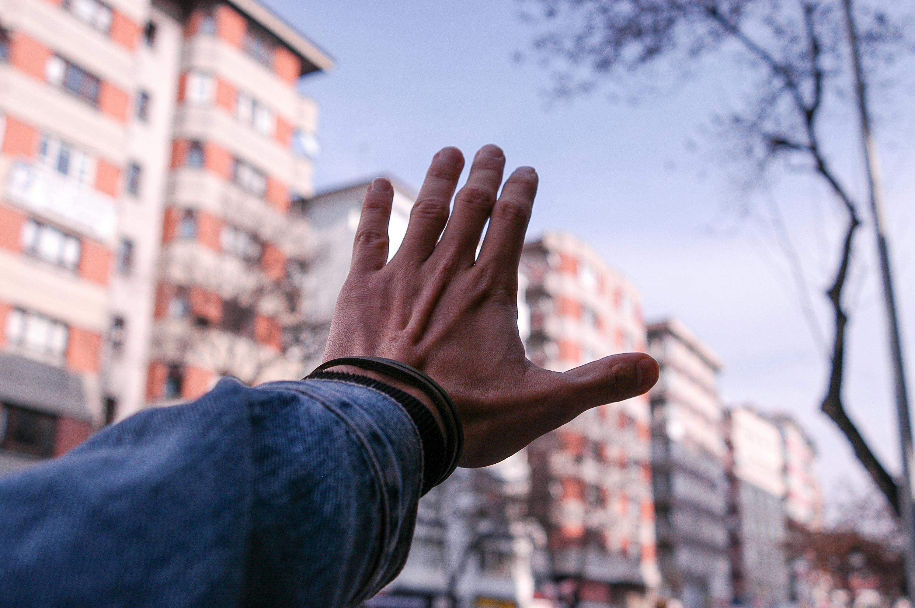 Photo of Person's Hand · Free Stock Photo