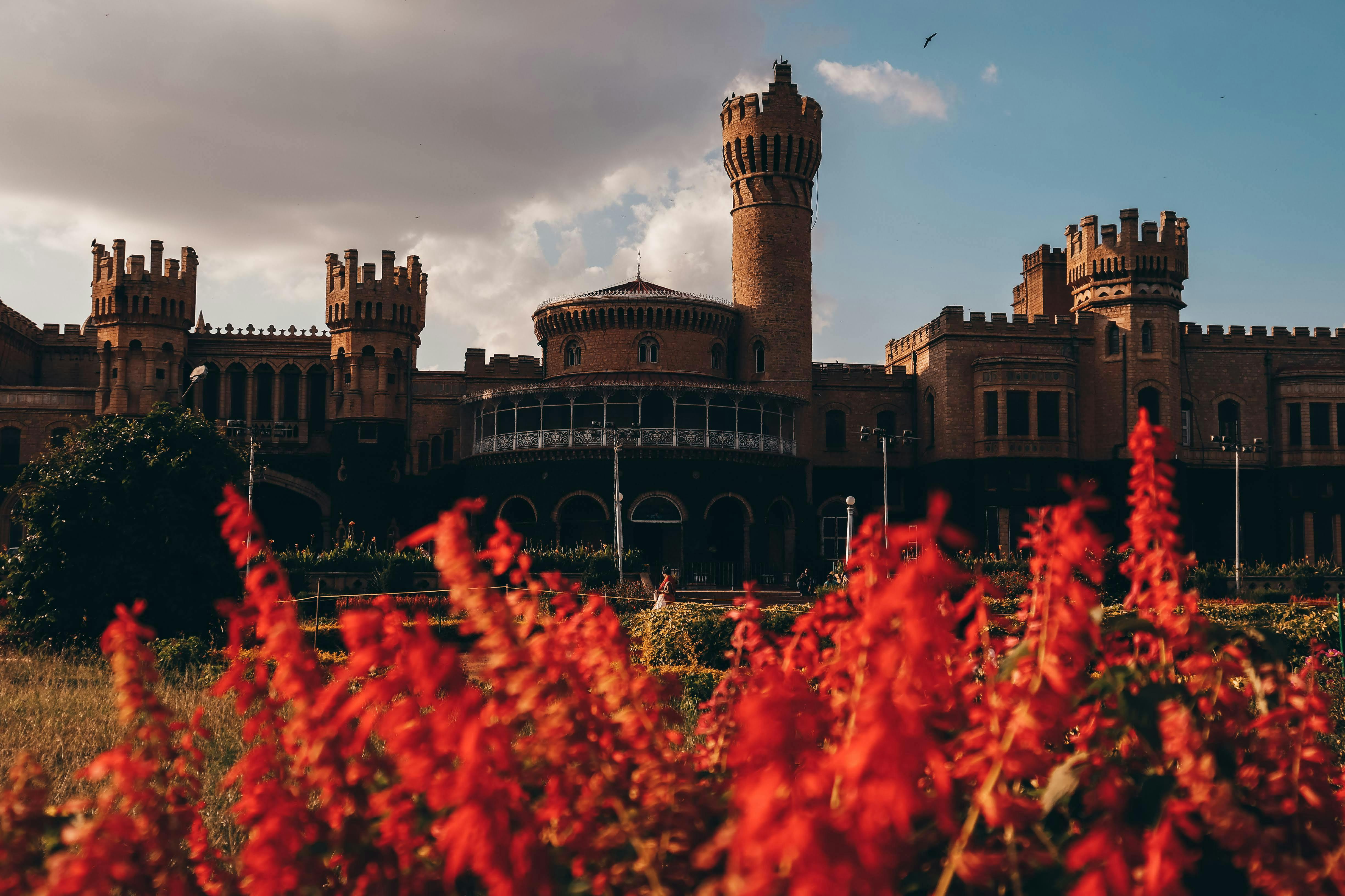 Bangalore Karga Photos, Download The BEST Free Bangalore Karga Stock ...