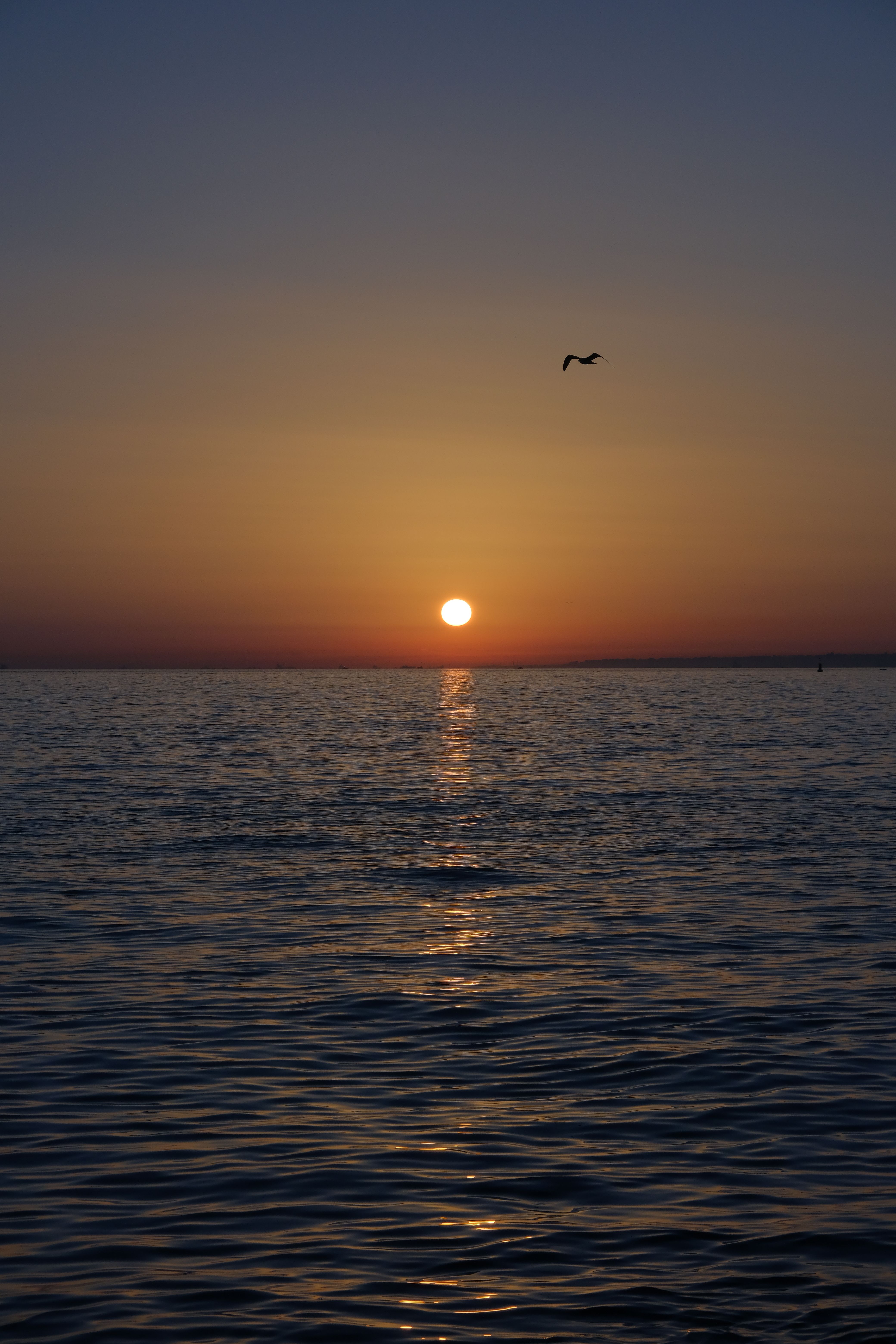 A Beautiful Sunset · Free Stock Photo