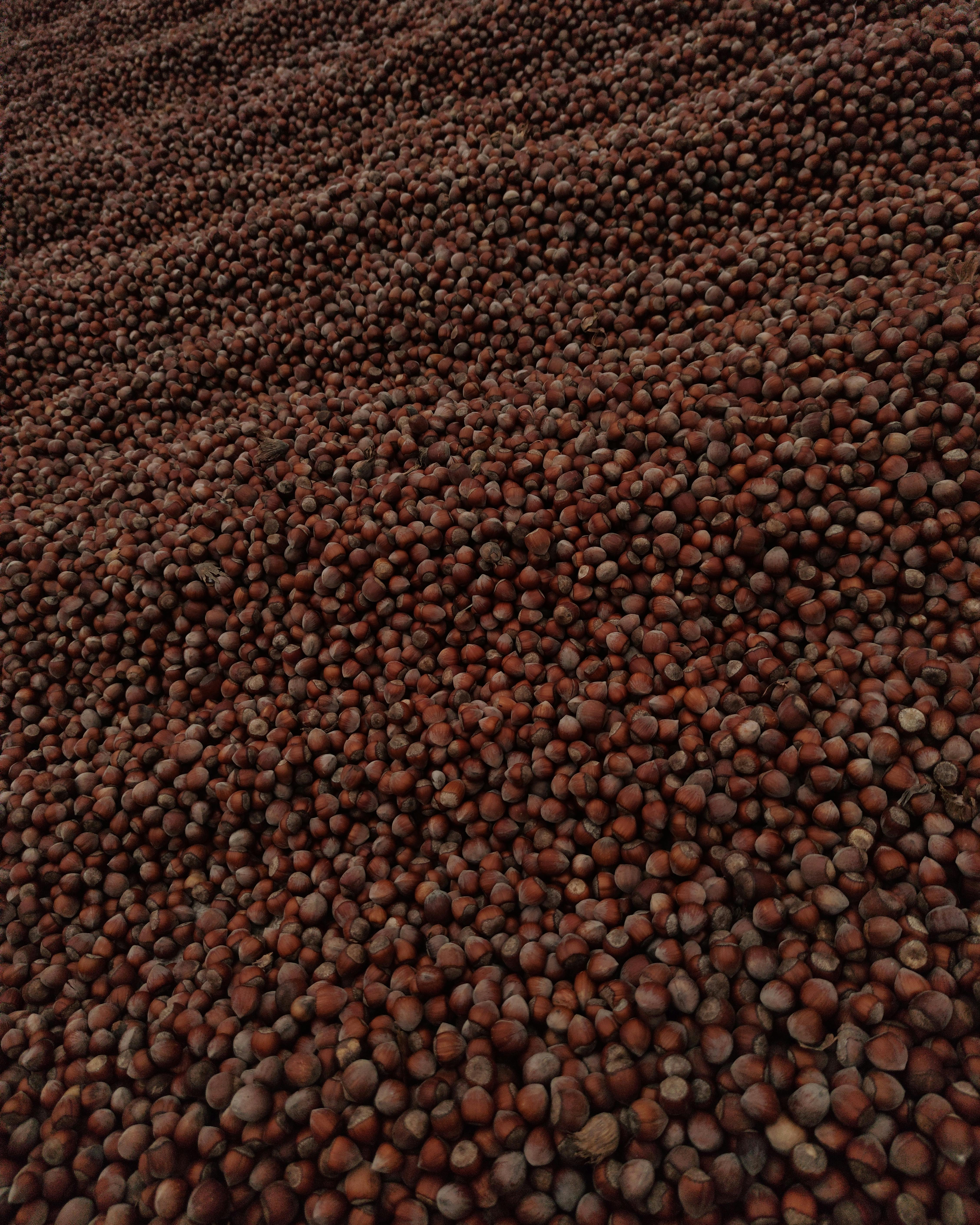 Bulk Density Photos, Download The BEST Free Bulk Density Stock Photos ...