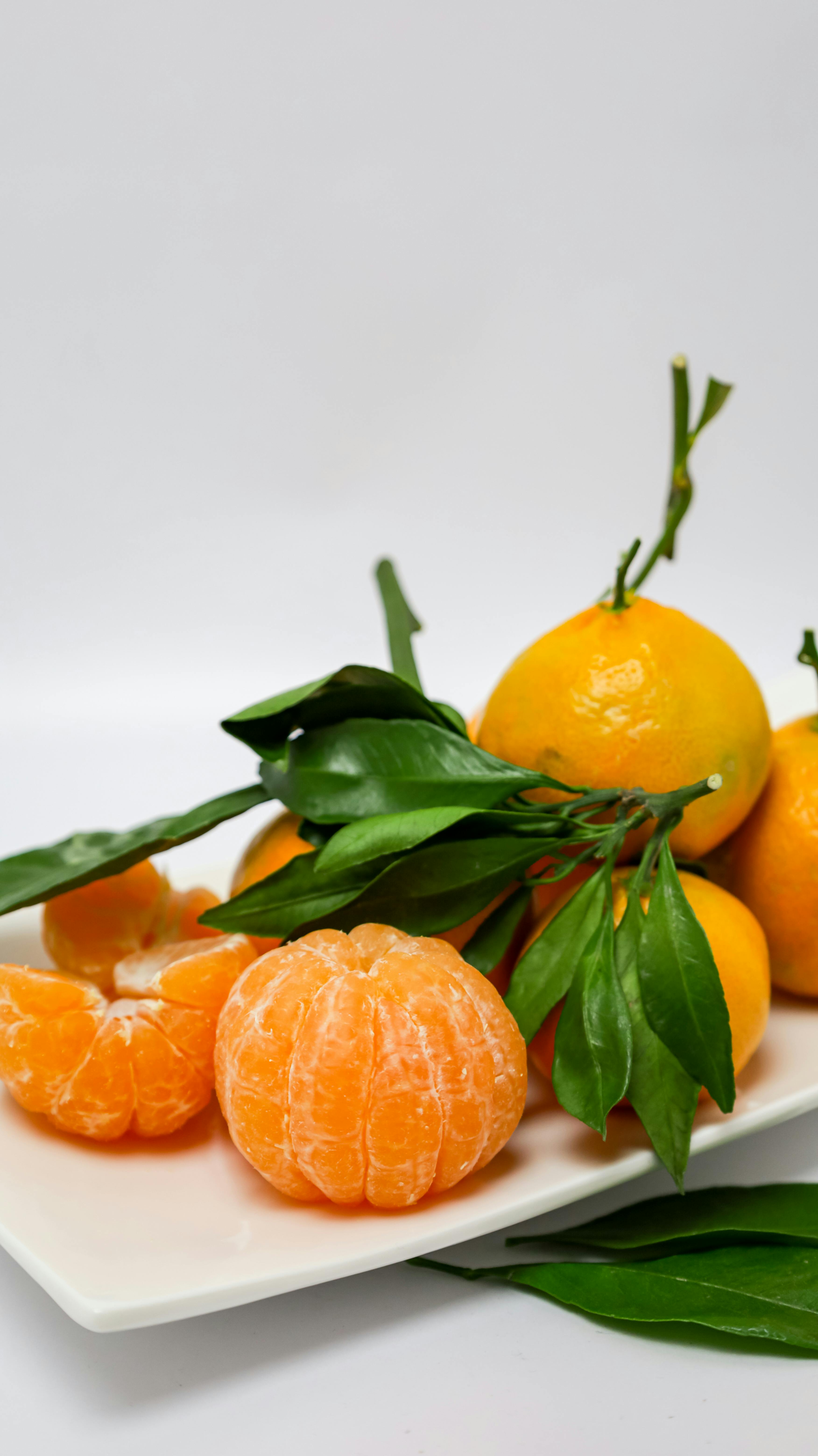 June Fruit Photos, Download The BEST Free June Fruit Stock Photos & HD ...