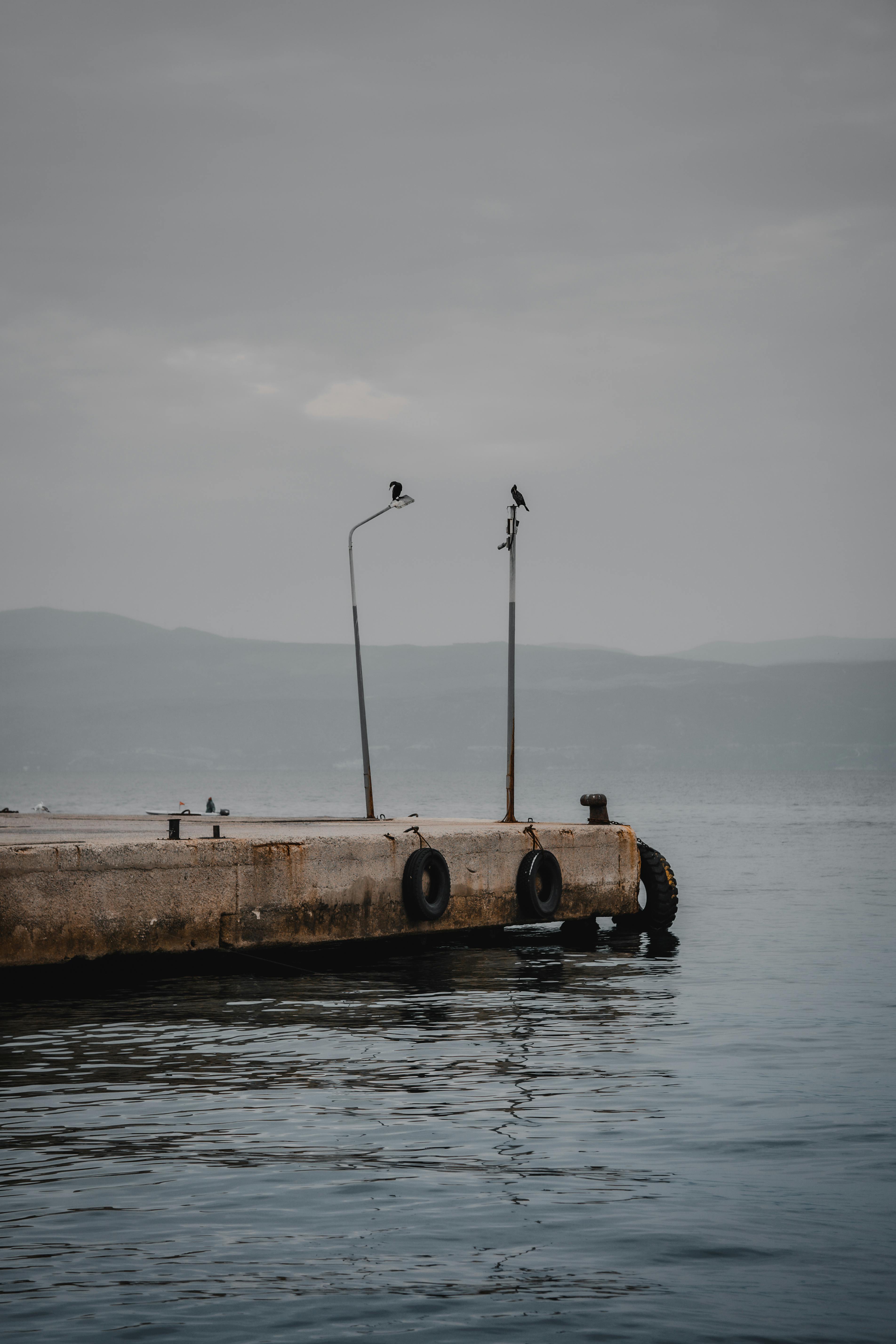 Catching Birds Photos, Download The BEST Free Catching Birds Stock ...