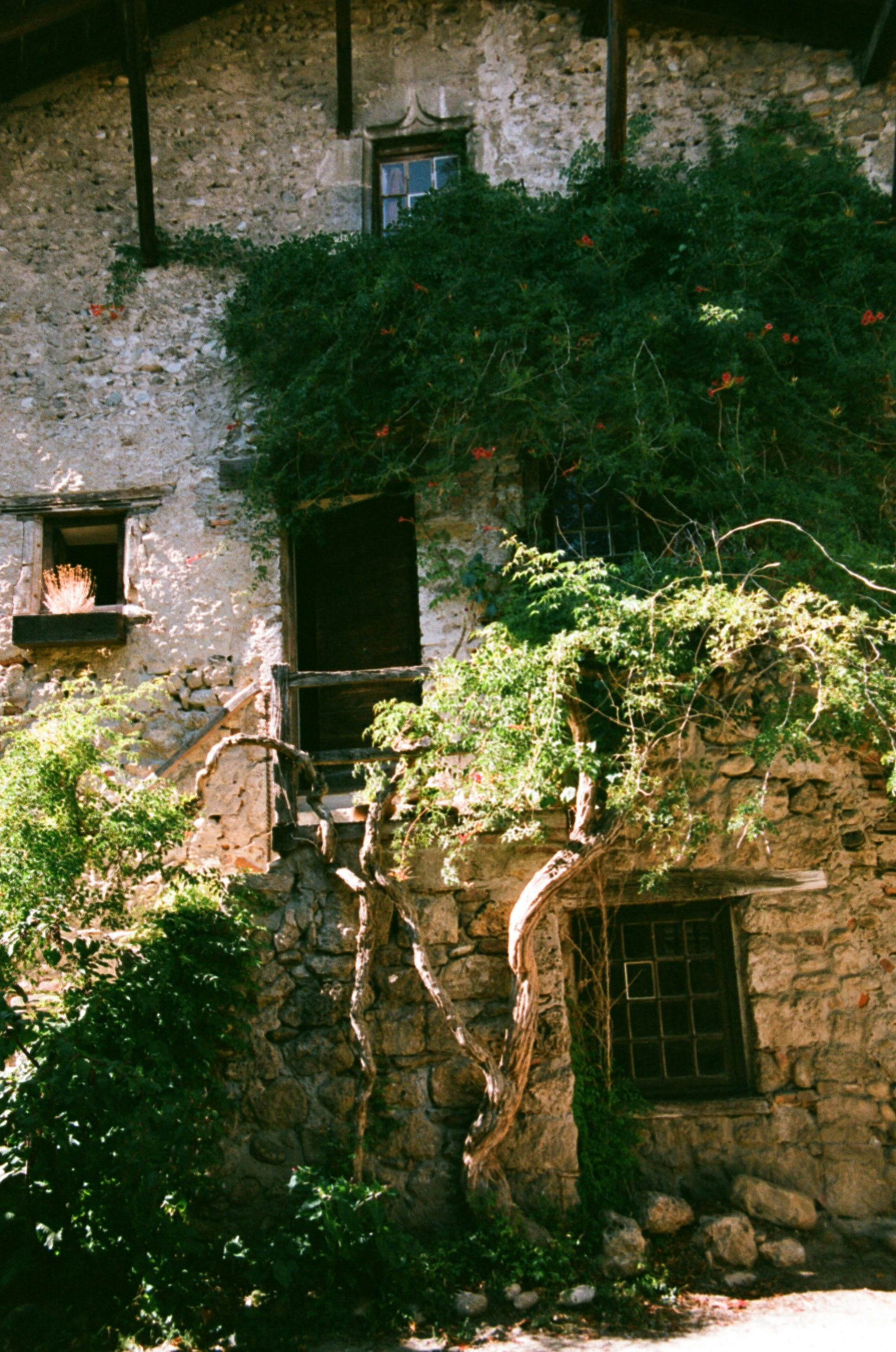 Village House Photos, Download The BEST Free Village House Stock Photos ...