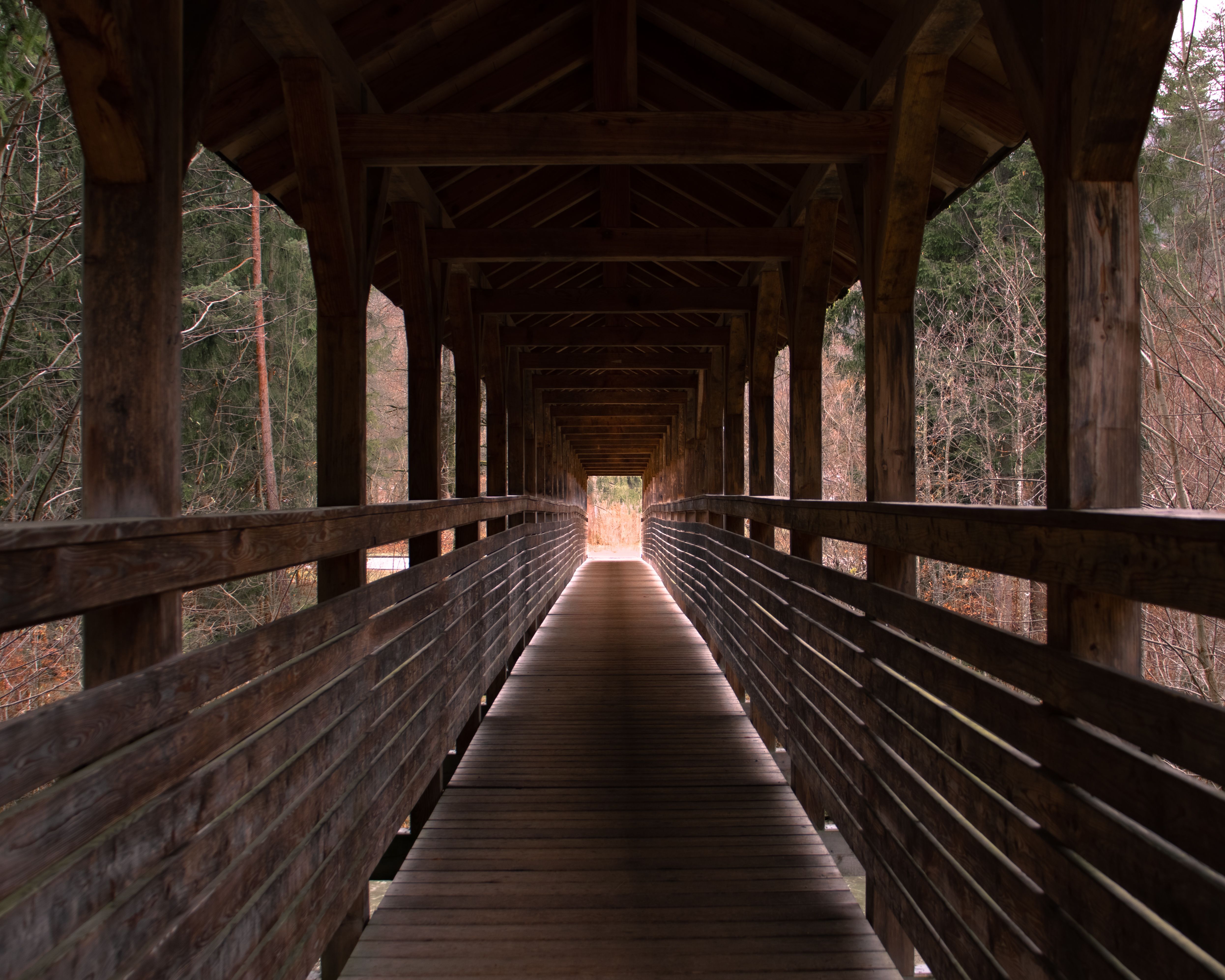 wooden bridge · Free Stock Photo