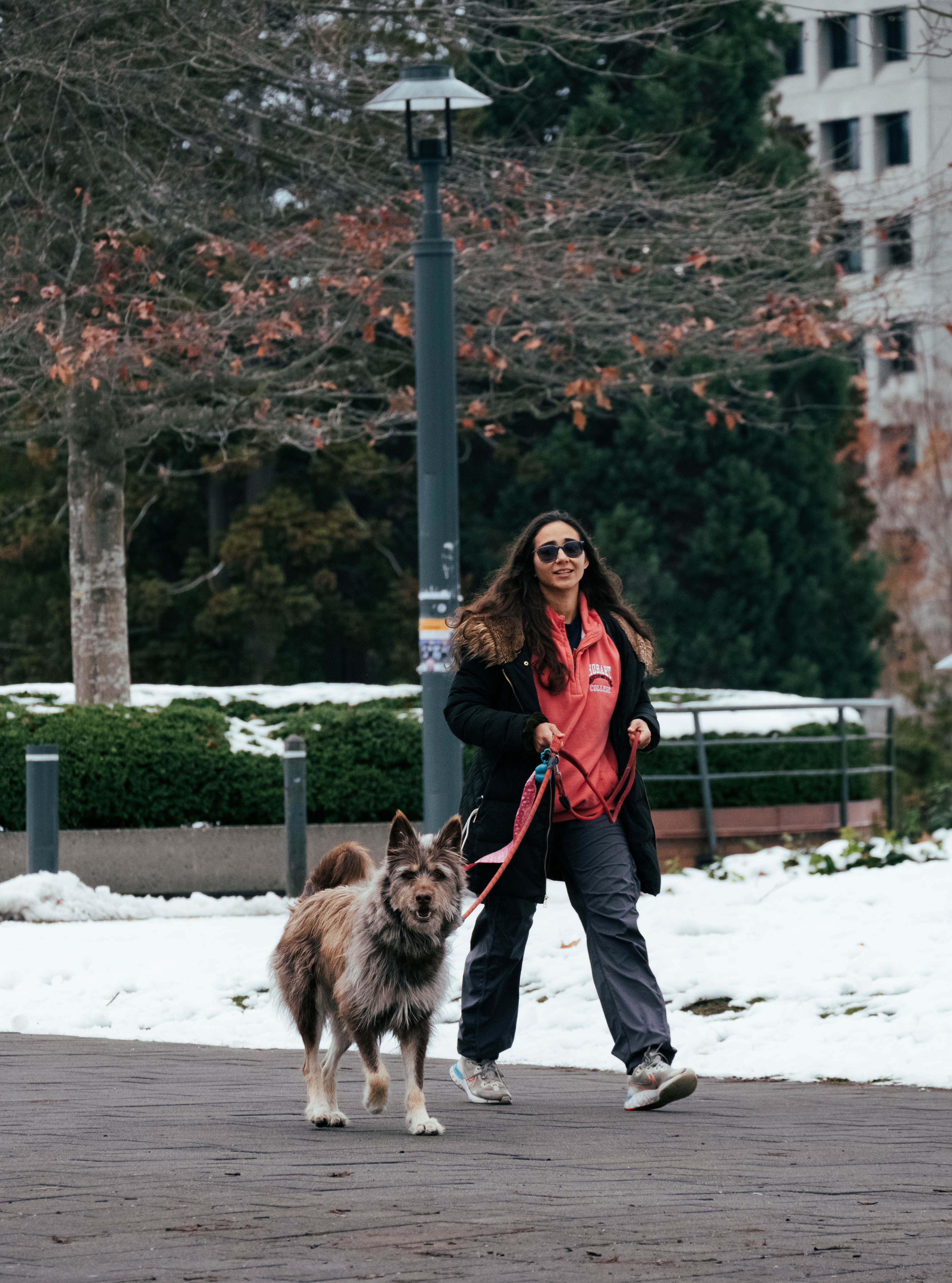 Pets Seasons Photos, Download Free Pets Seasons Stock Photos & HD Images