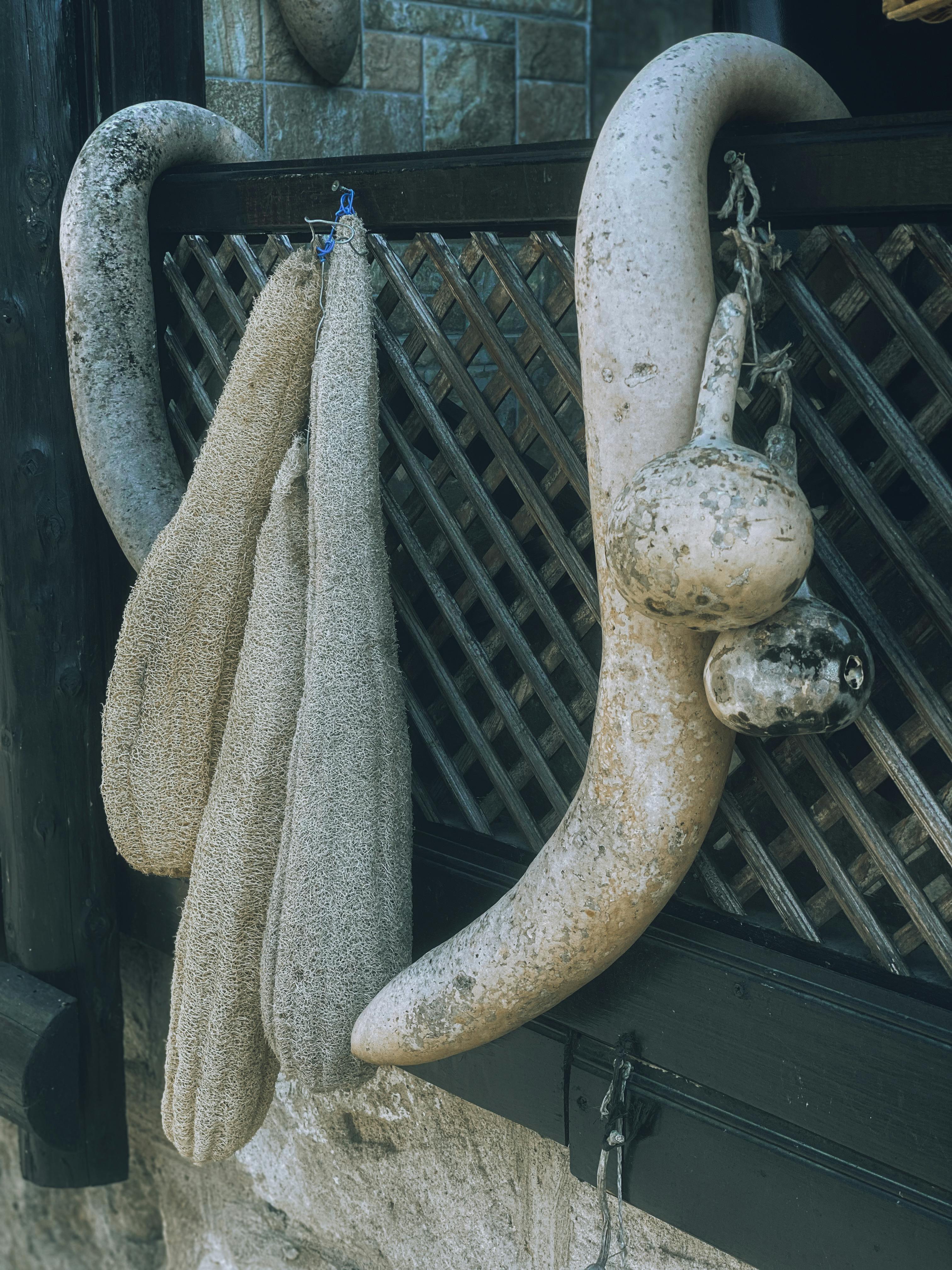 Calabash Photos, Download The BEST Free Calabash Stock Photos & HD Images