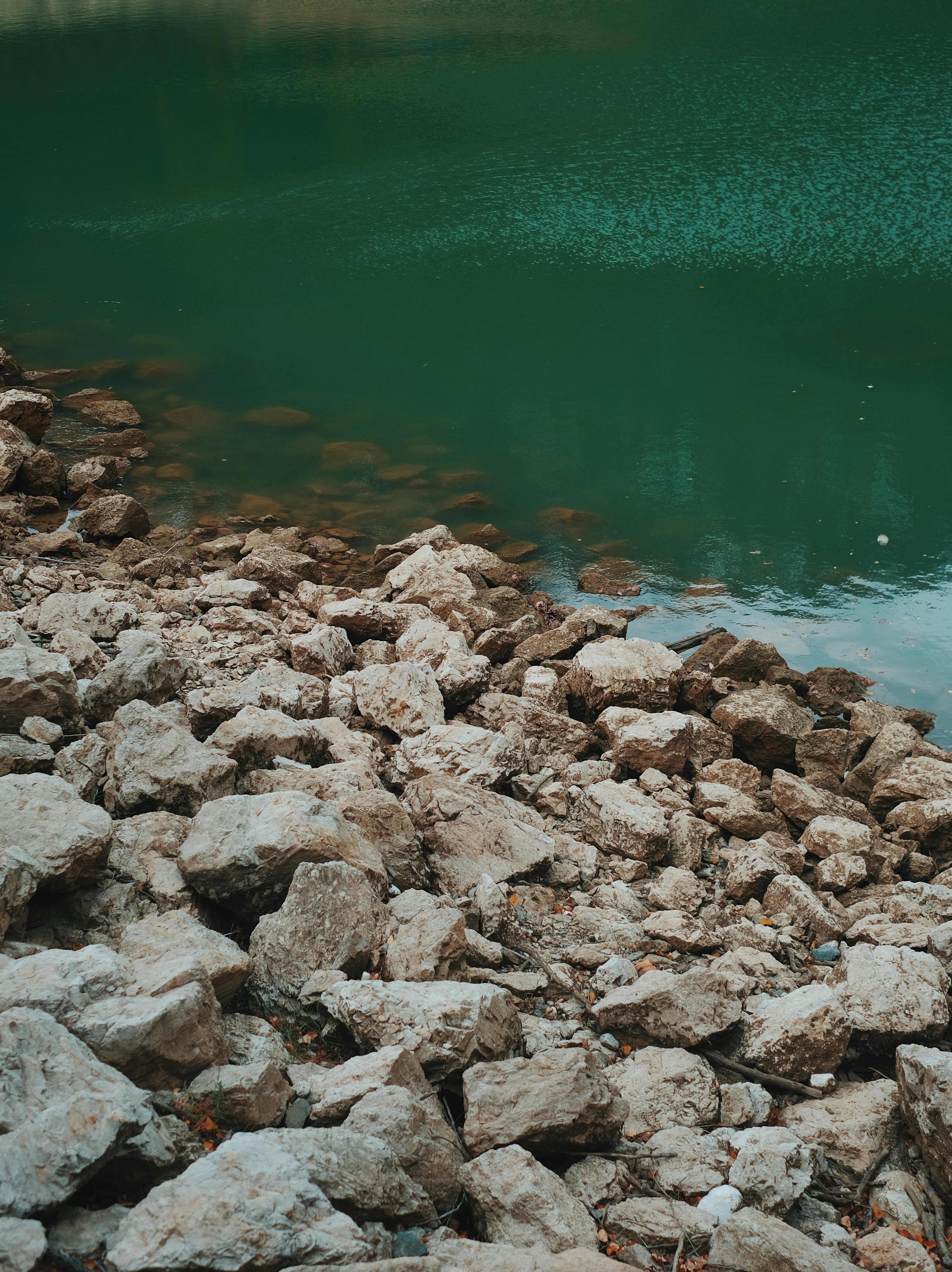 Rocks on Shore near Green Water · Free Stock Photo