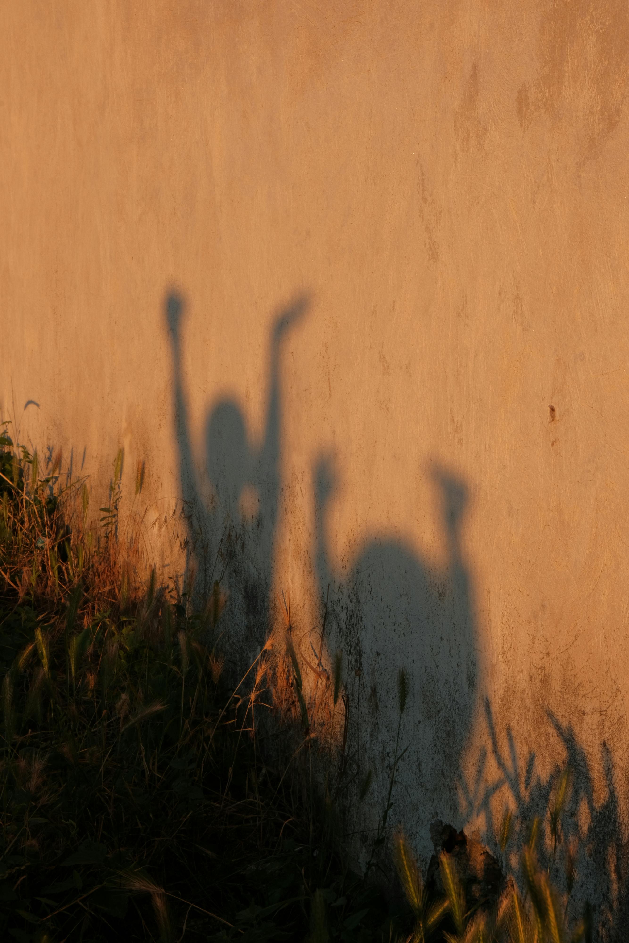 Shadows of People with Raised Arms on a Wall at Sunset · Free Stock Photo