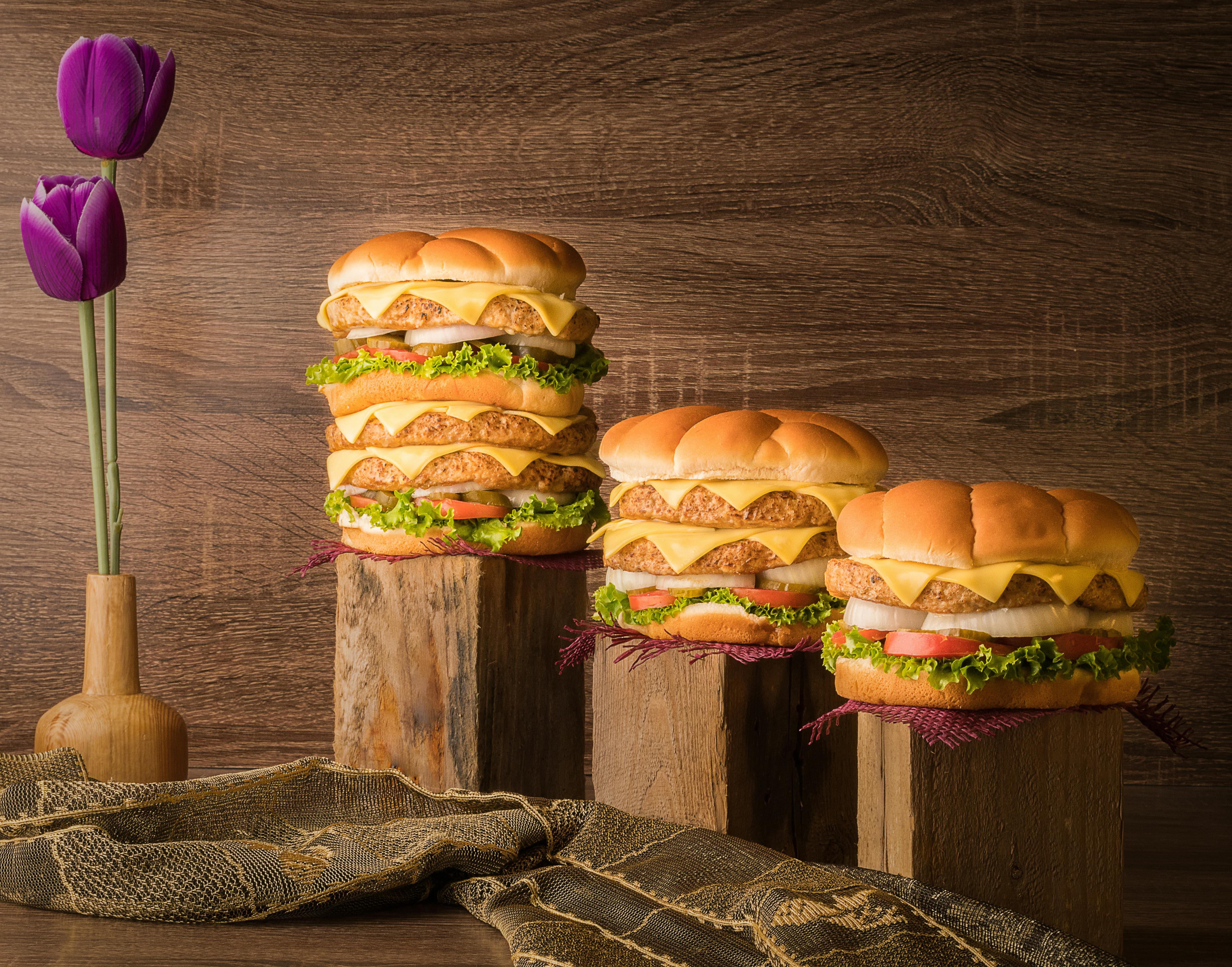 Big Fat Burger · Free Stock Photo