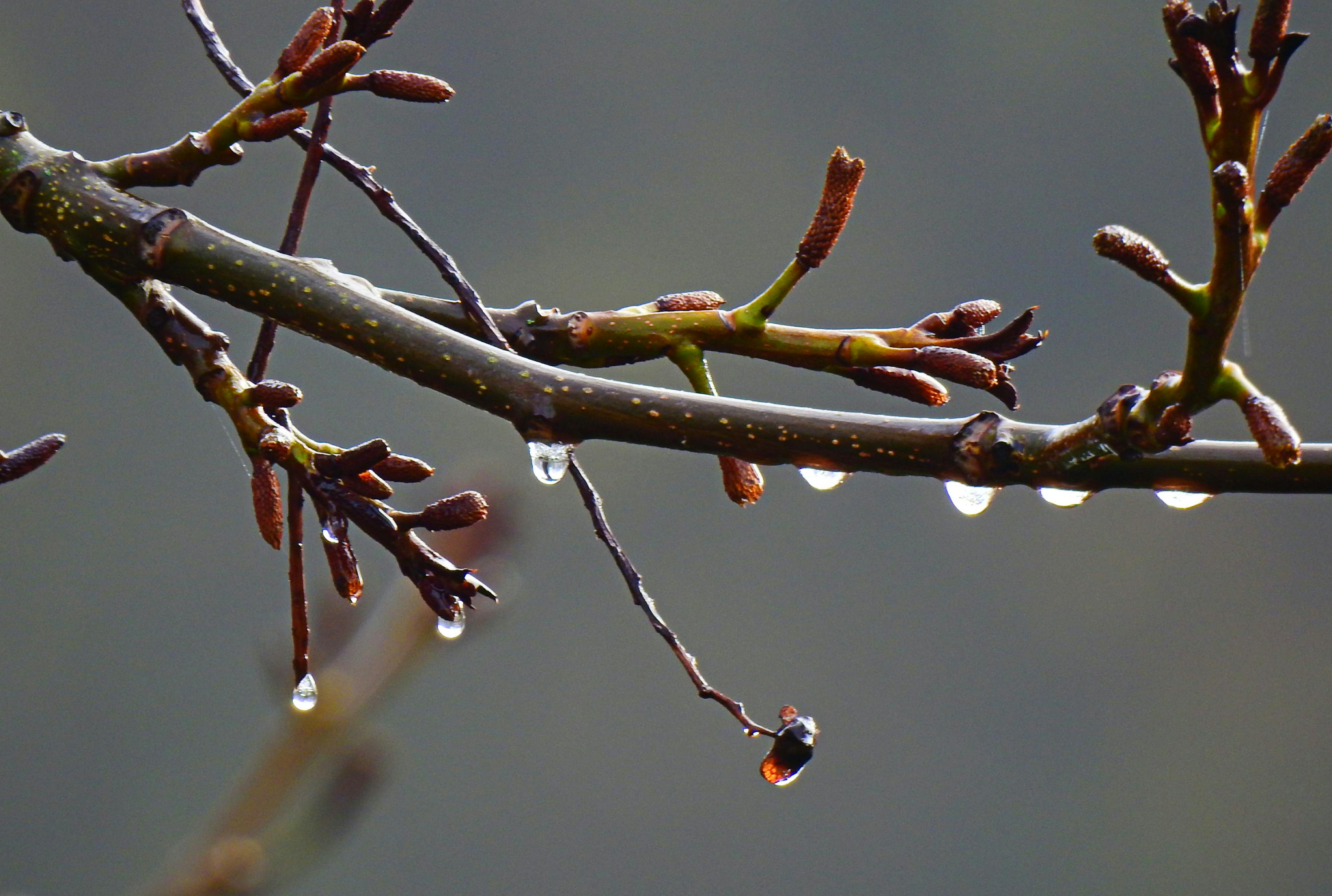 Mabel Amber - 攝影