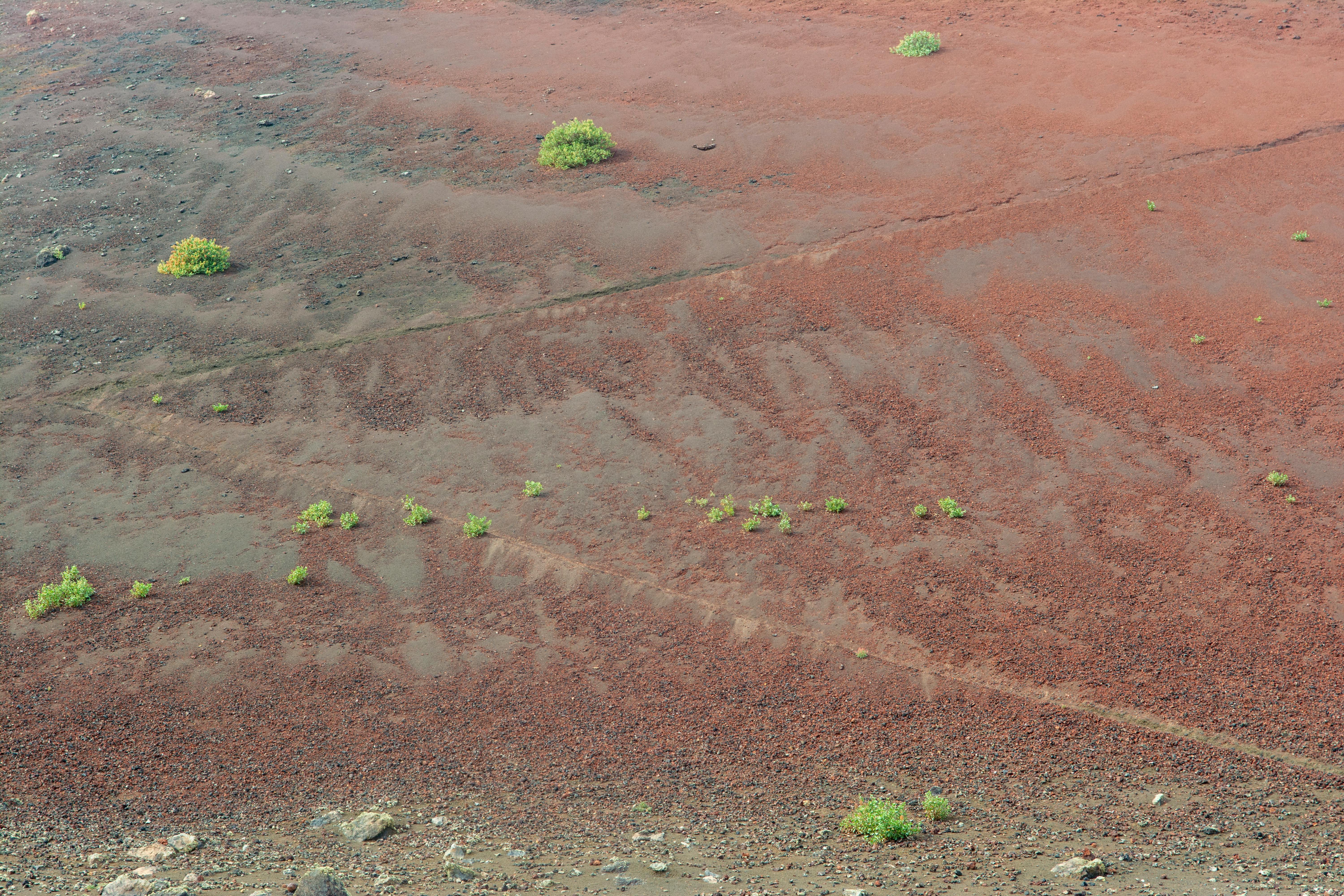 Wet Ground on Lakeshore · Free Stock Photo