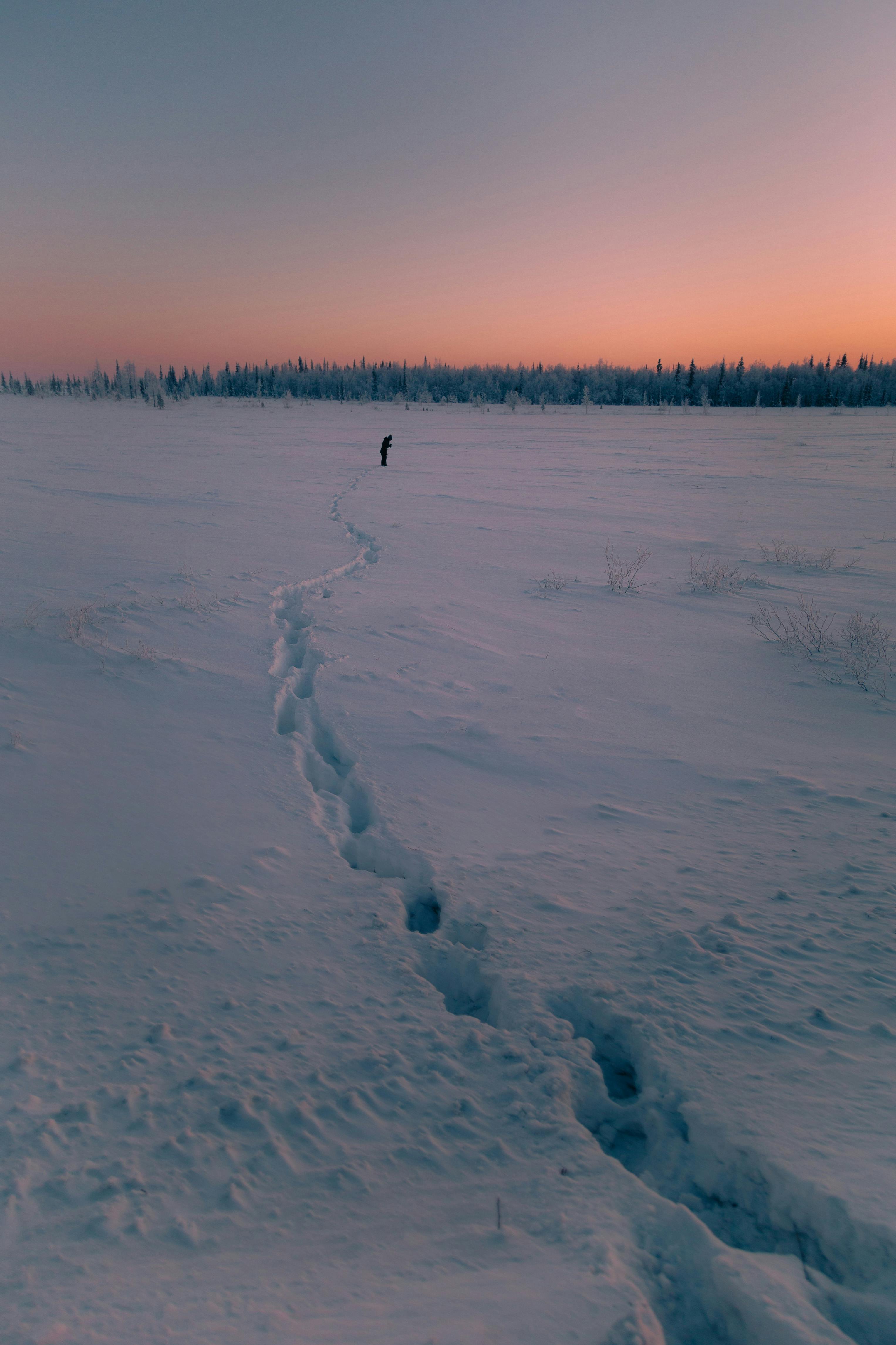 Person Walking in Snow at Dawn · Free Stock Photo