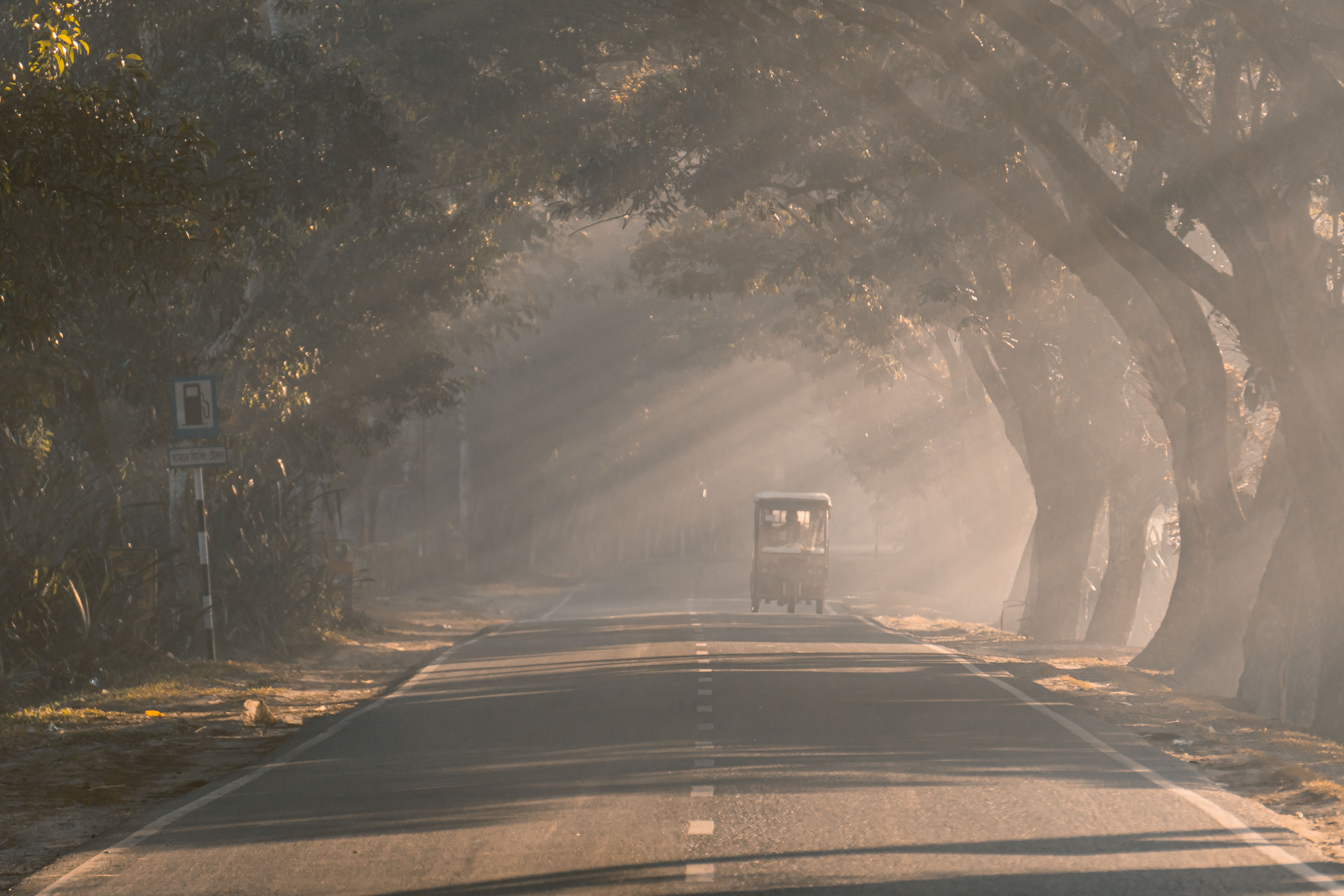 A Vehicle Moving on the Road Between Green Trees · Free Stock Photo