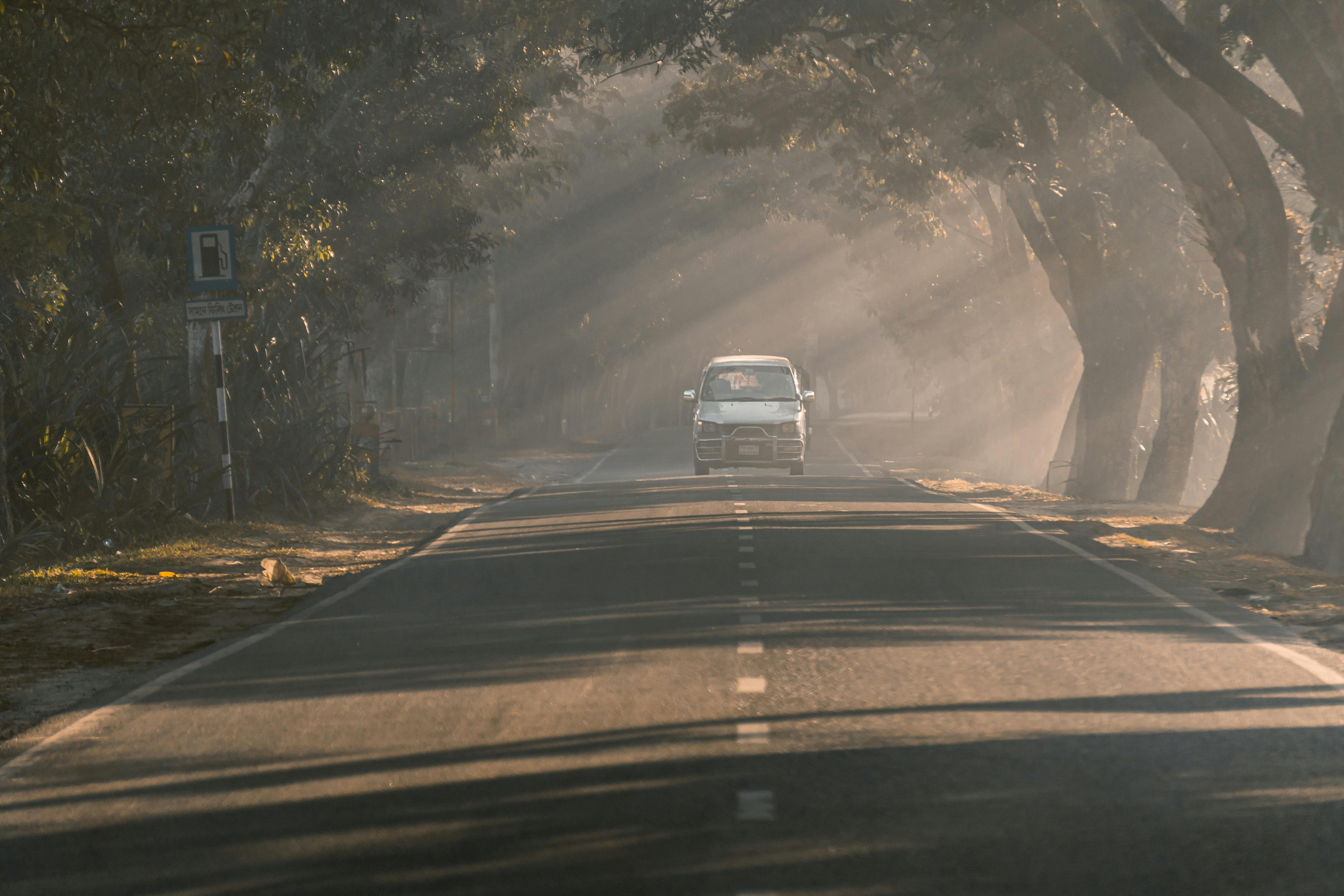 Road in Between Trees · Free Stock Photo