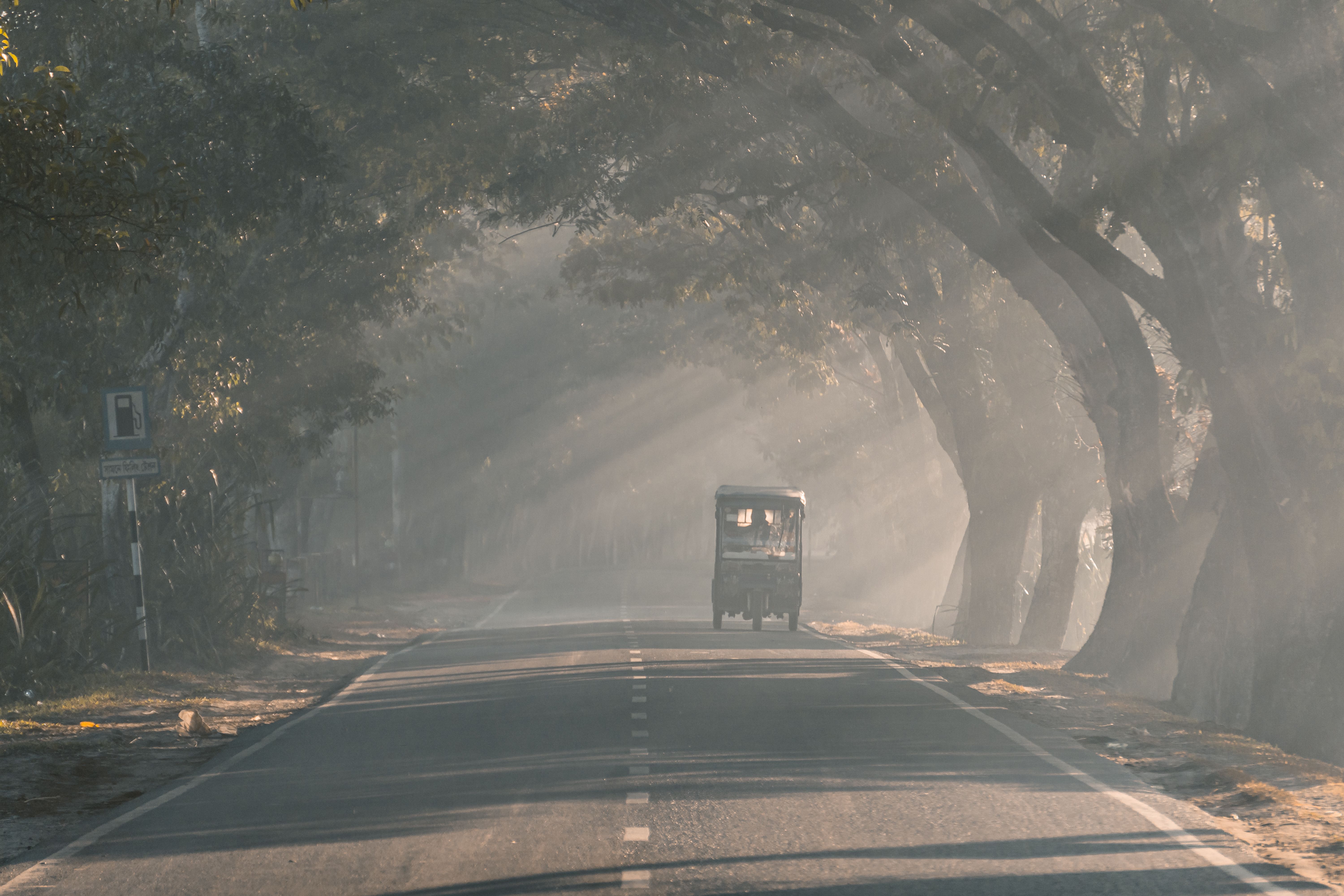 A Tuktuk Moving on the Road Between Green Trees · Free Stock Photo